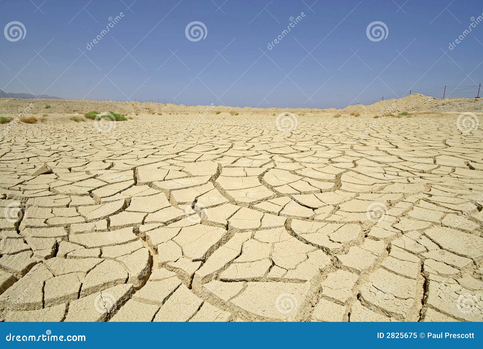 Dry Desert in Red Sea Region, Stock Image - Image of climate, solitary ...