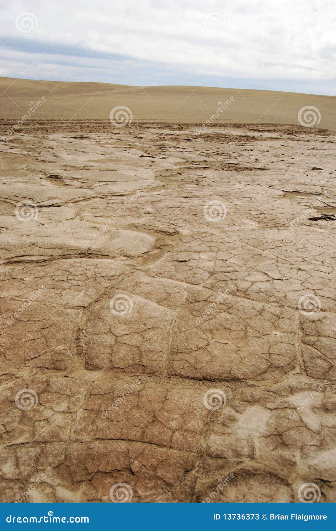 Dry Desert Sand stock image. Image of national, hike - 13736373