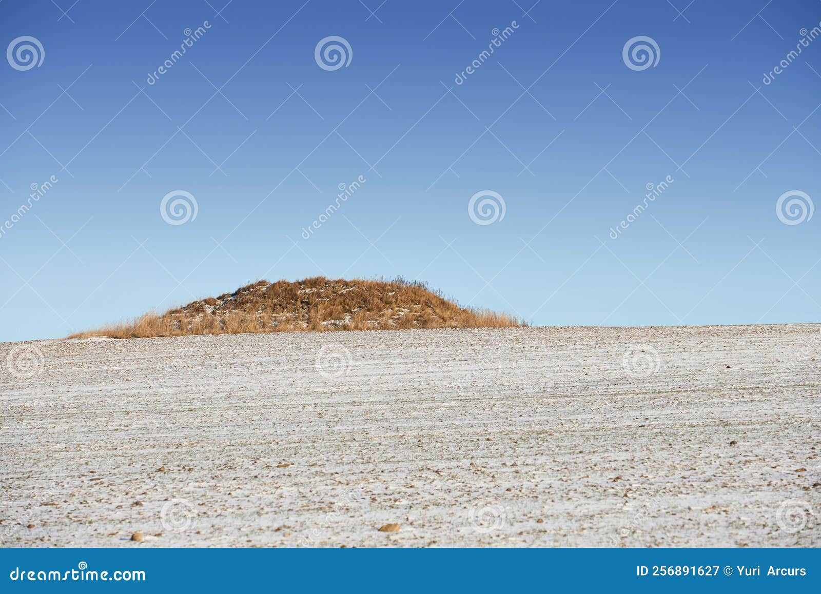 Dry Desolation. a Grassy Mound in the Middle of a Dry Landscape. Stock ...