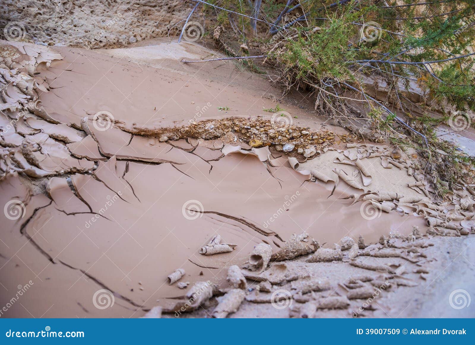 Dry dirt stock image. Image of grass, colors, environmental - 39007509