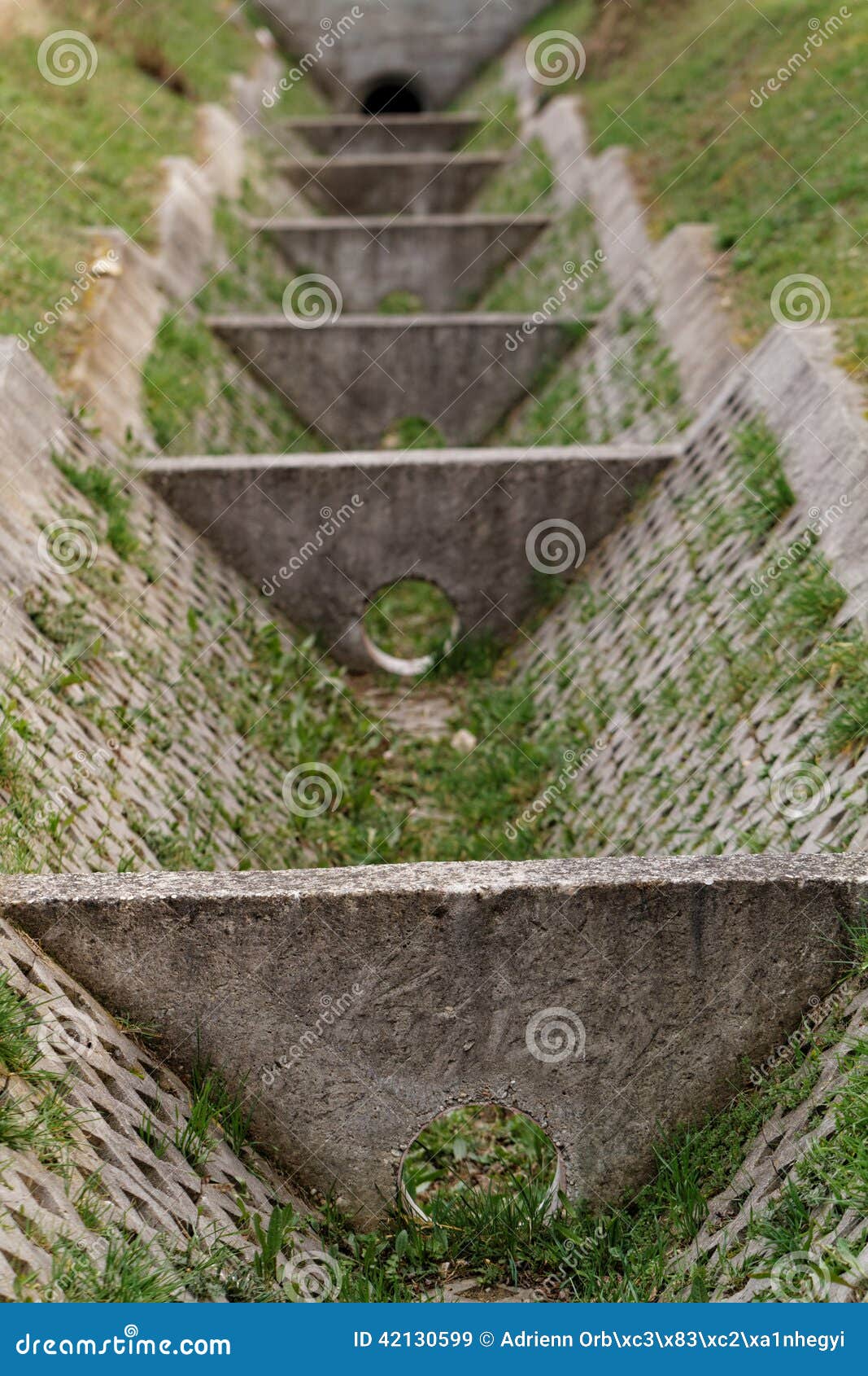 Dry ditch stock image. Image of canal, claw, tree, contractor - 42130599