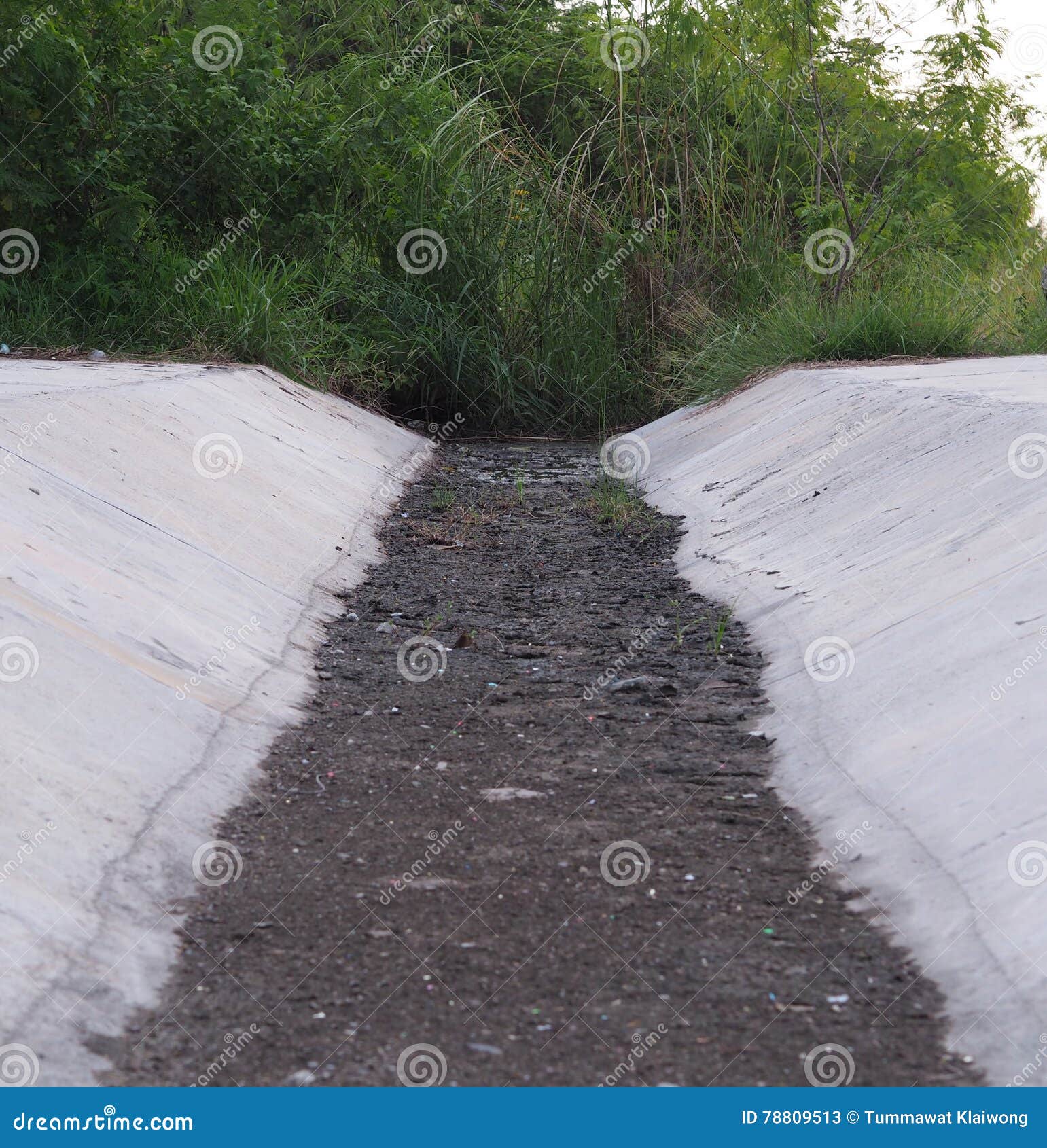 Dry Drainage Waterway with Black Soil Stock Image - Image of channel ...