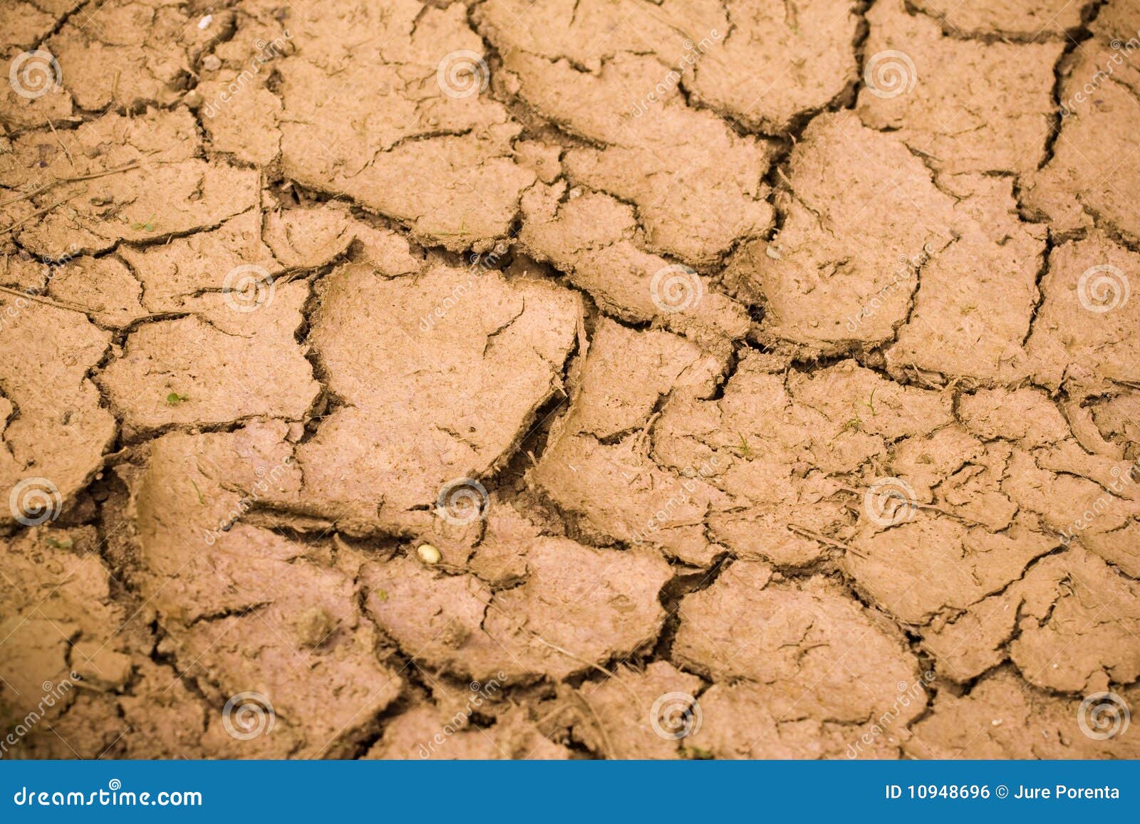 Dry earth stock photo. Image of global, summer, dirt - 10948696