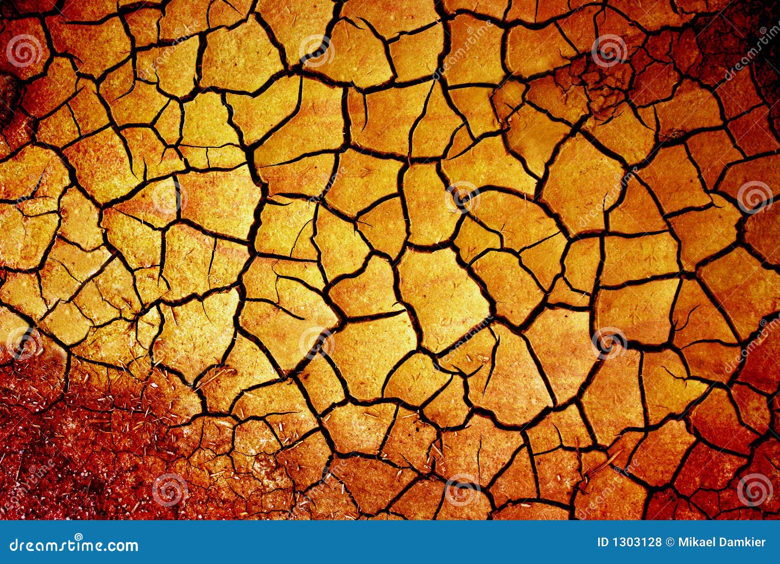 Dry earth stock photo. Image of crop, brown, land, grunge - 1303128