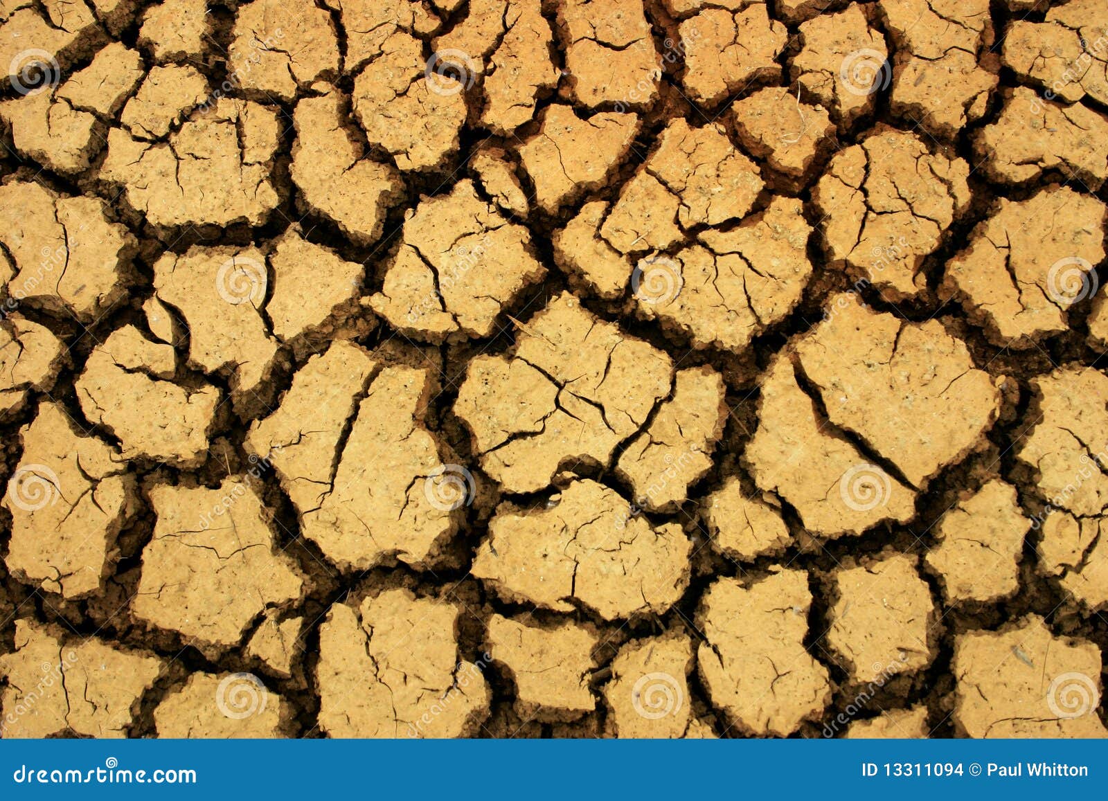 Dry earth stock photo. Image of earth, soil, wasteland - 13311094