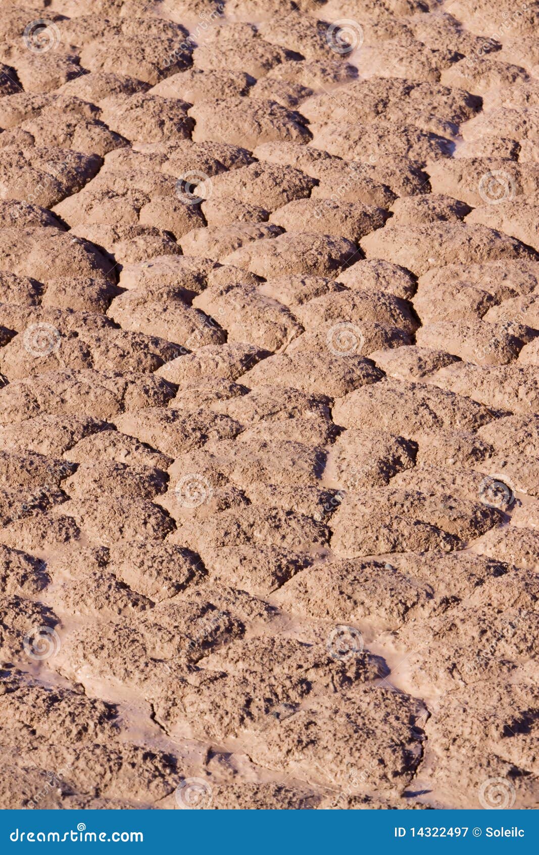 Dry earth stock image. Image of drought, issue, earth - 14322497