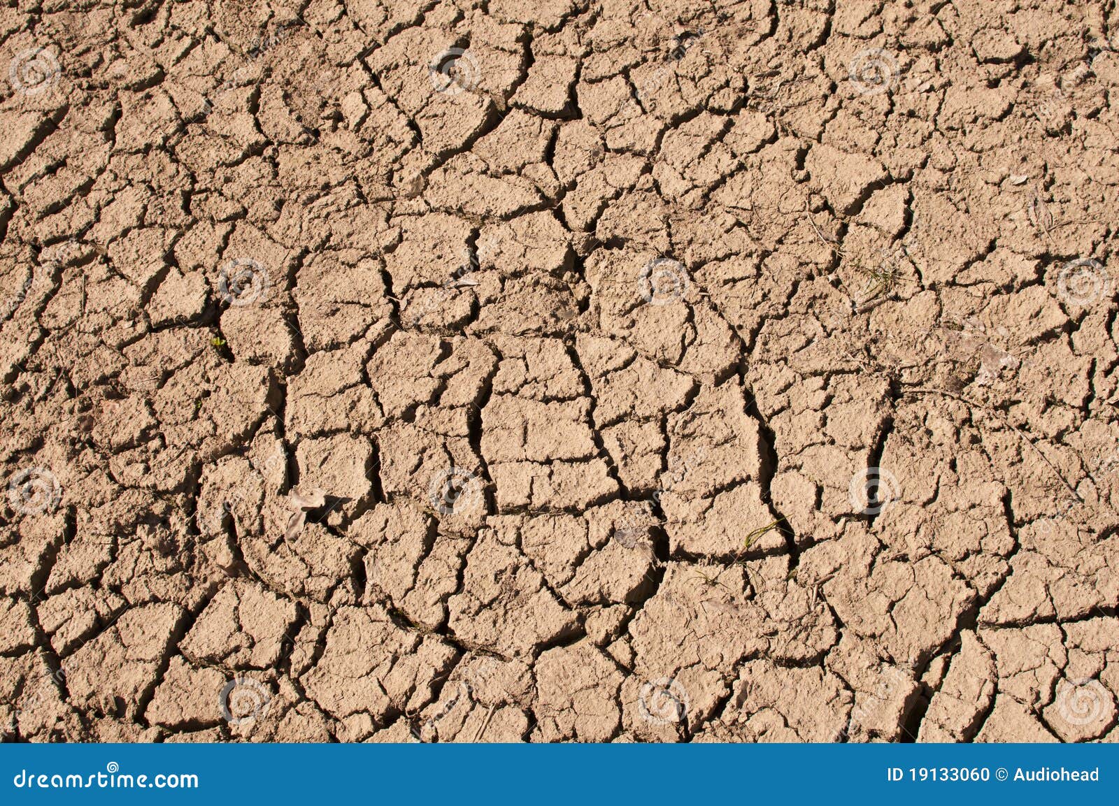 Dry Earth stock photo. Image of dirty, arid, lake, brown - 19133060