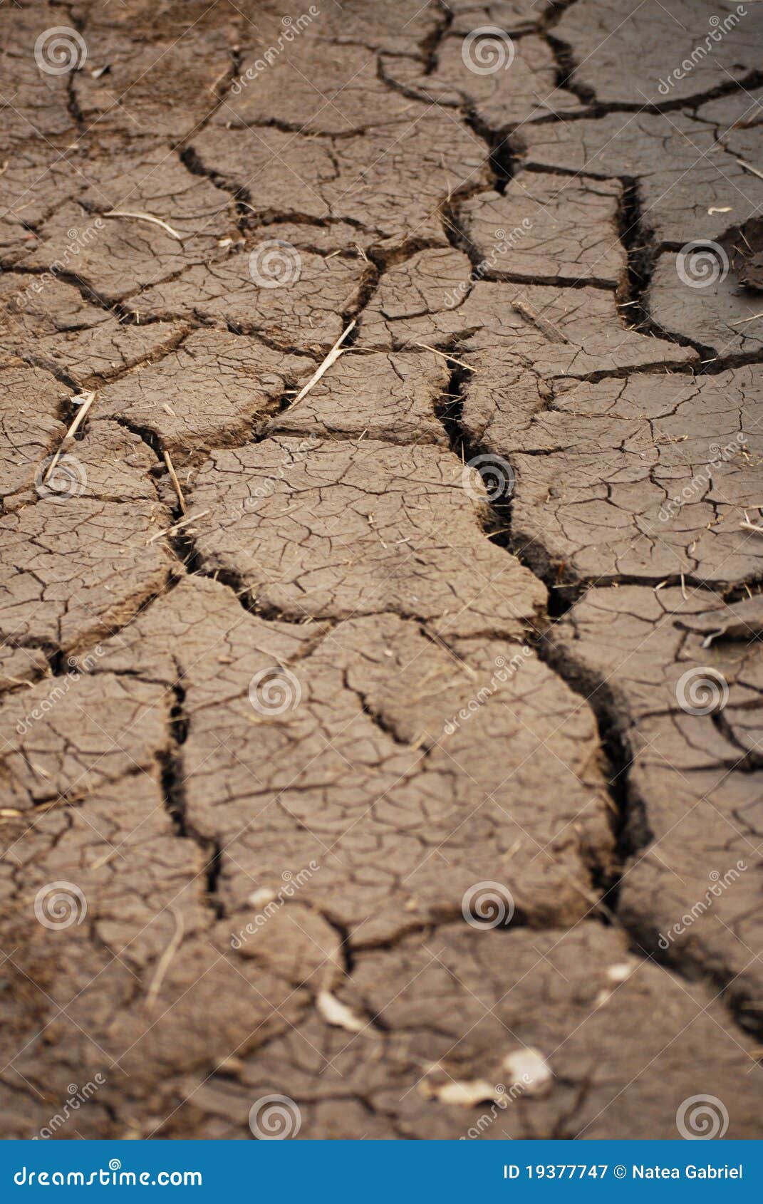 Dry earth stock image. Image of fissure, bursting, surface - 19377747