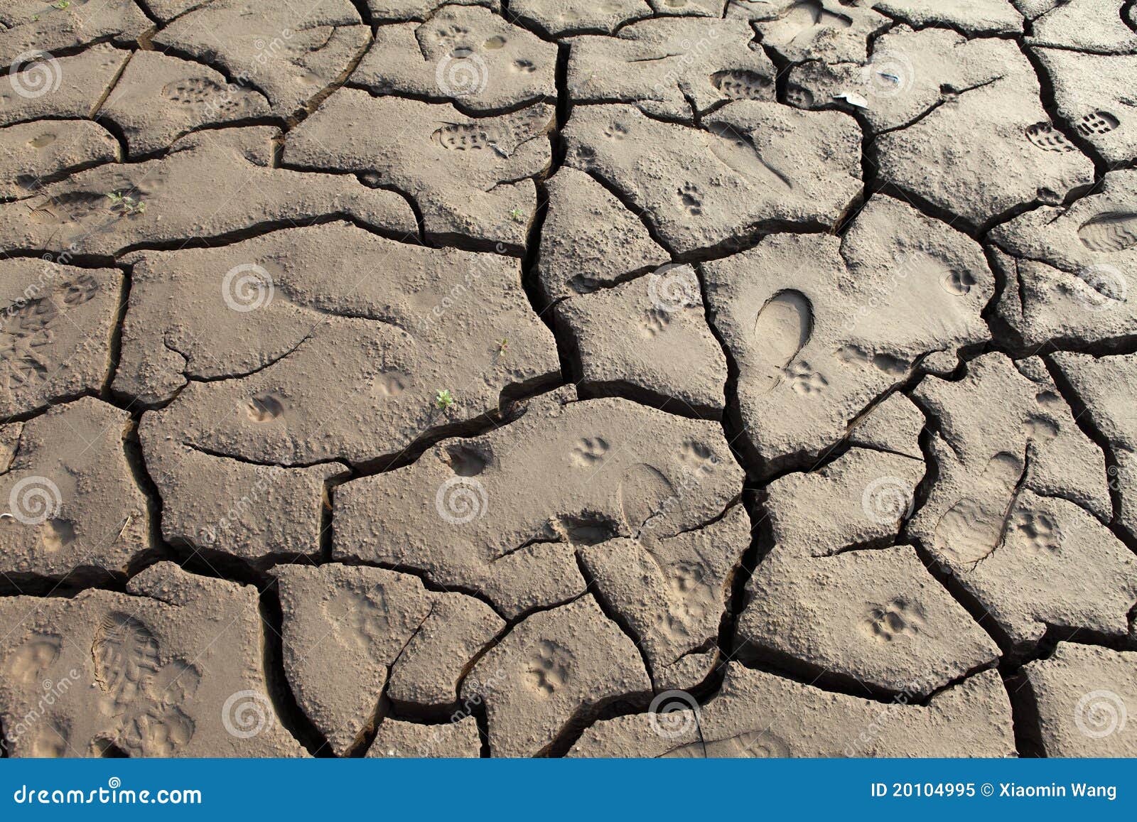 Dry earth stock image. Image of river, deep, texture - 20104995