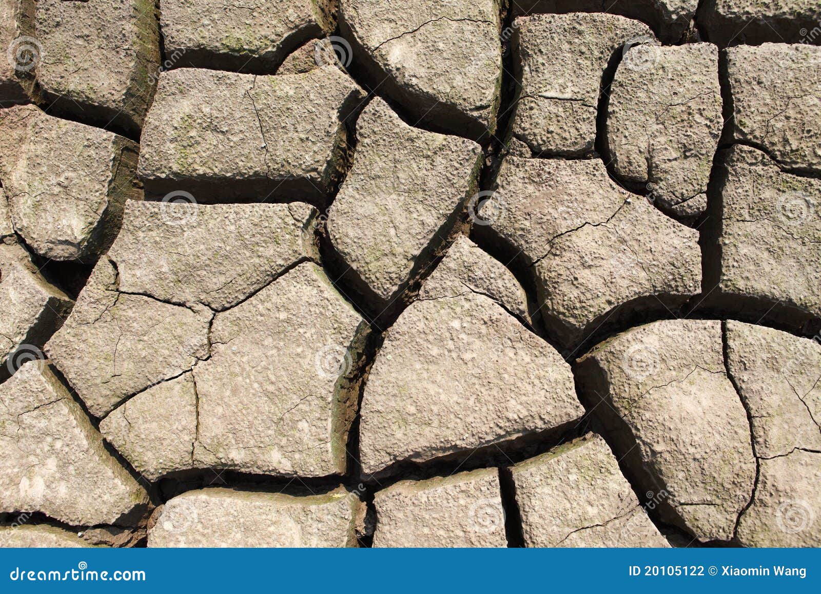 Dry earth stock photo. Image of land, earth, dessert - 20105122