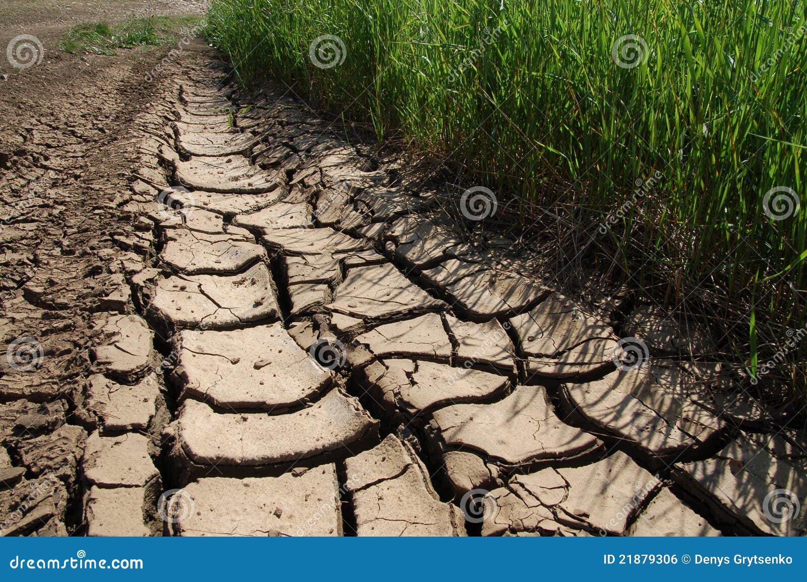 Dry earth stock photo. Image of travel, failure, roasting - 21879306