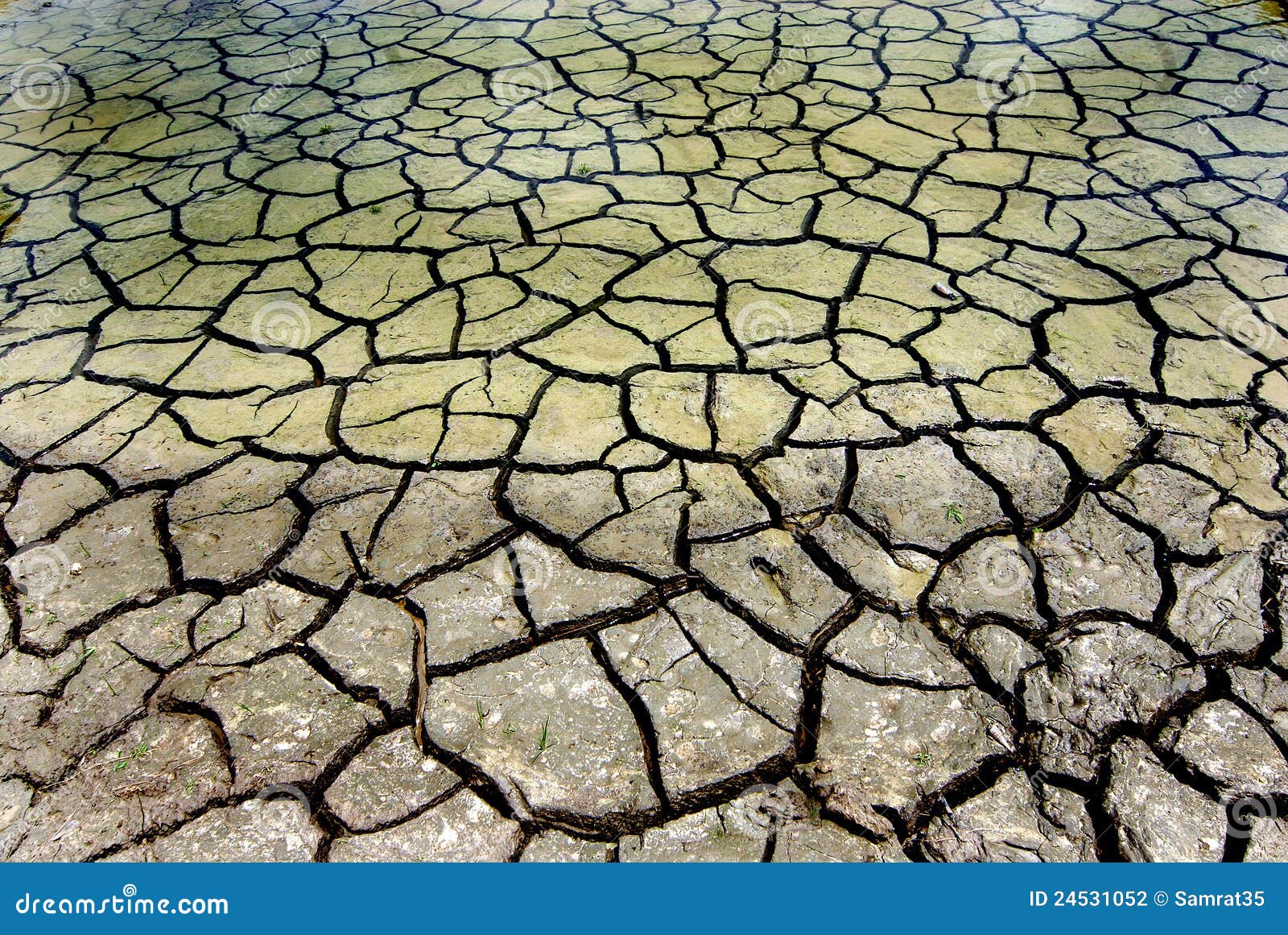 Dry Earth stock photo. Image of dead, environment, cracked - 24531052