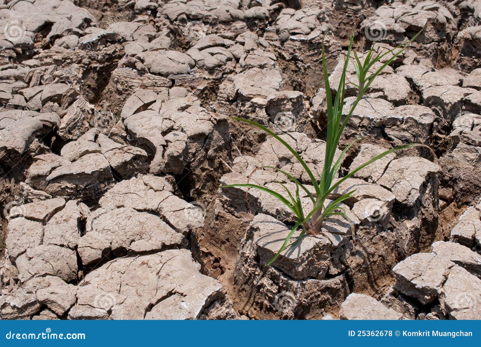 Dry earth stock photo. Image of crack, erosion, arid - 25362678