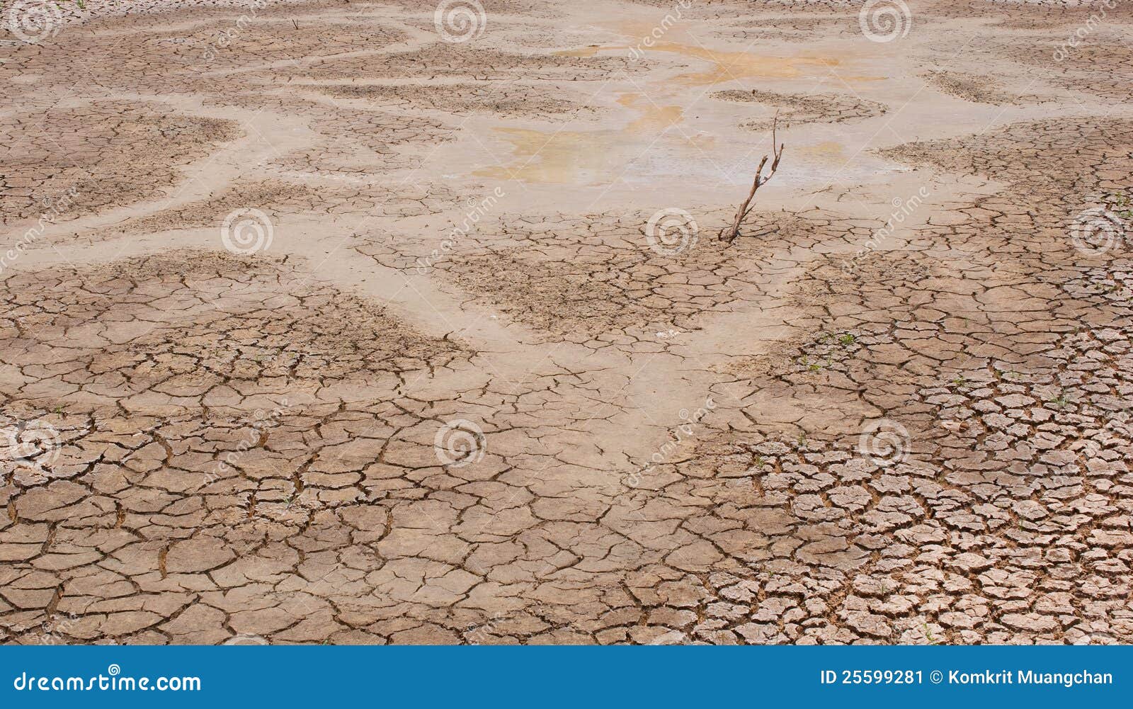 Dry earth stock image. Image of disaster, heat, closeup - 25599281