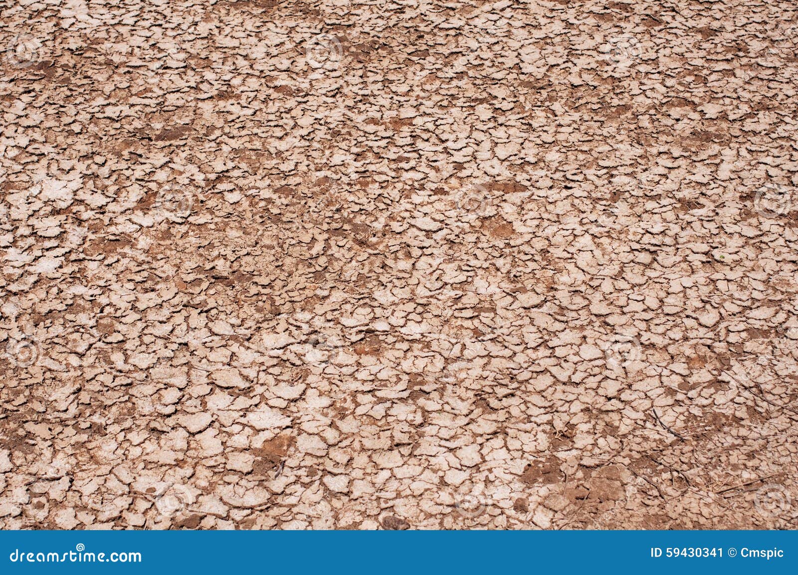 Dry earth stock image. Image of rough, texture, environment - 59430341