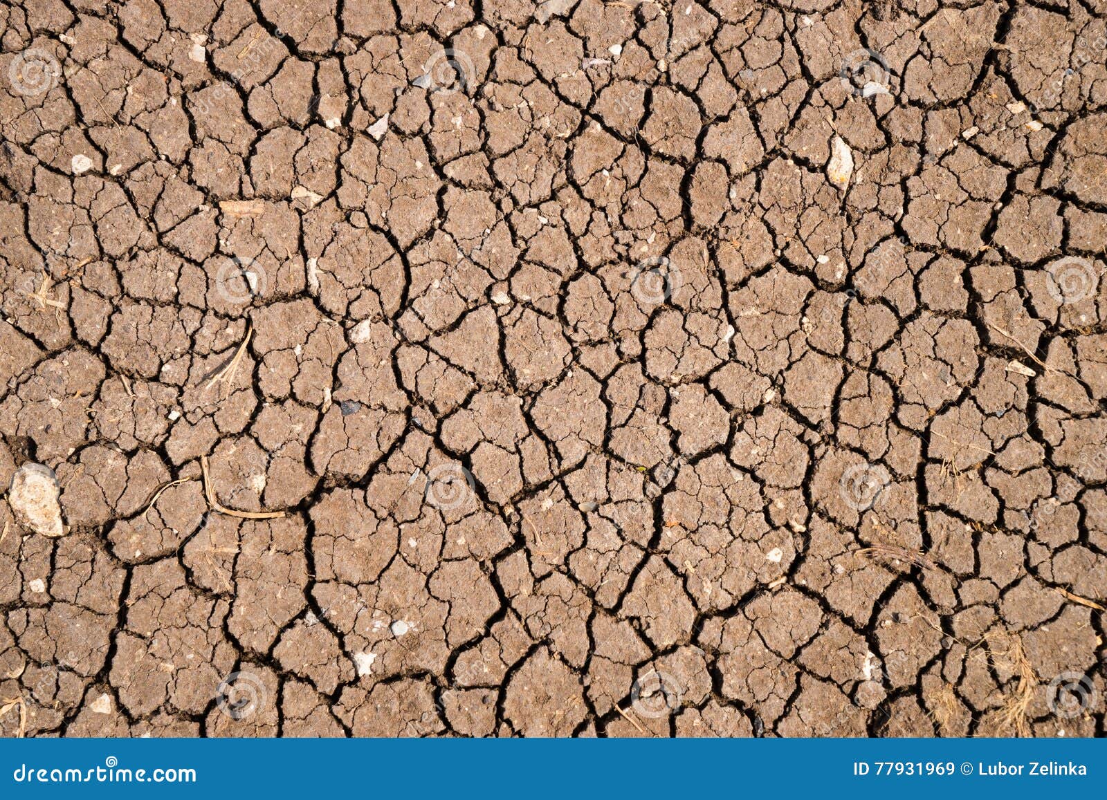 Dry earth stock image. Image of earth, outdoor, parched - 77931969