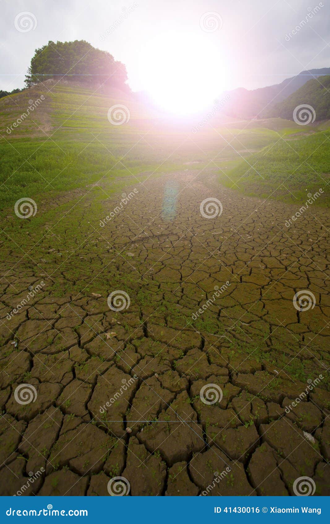 Dry earth stock photo. Image of closeup, dirt, environmental - 41430016