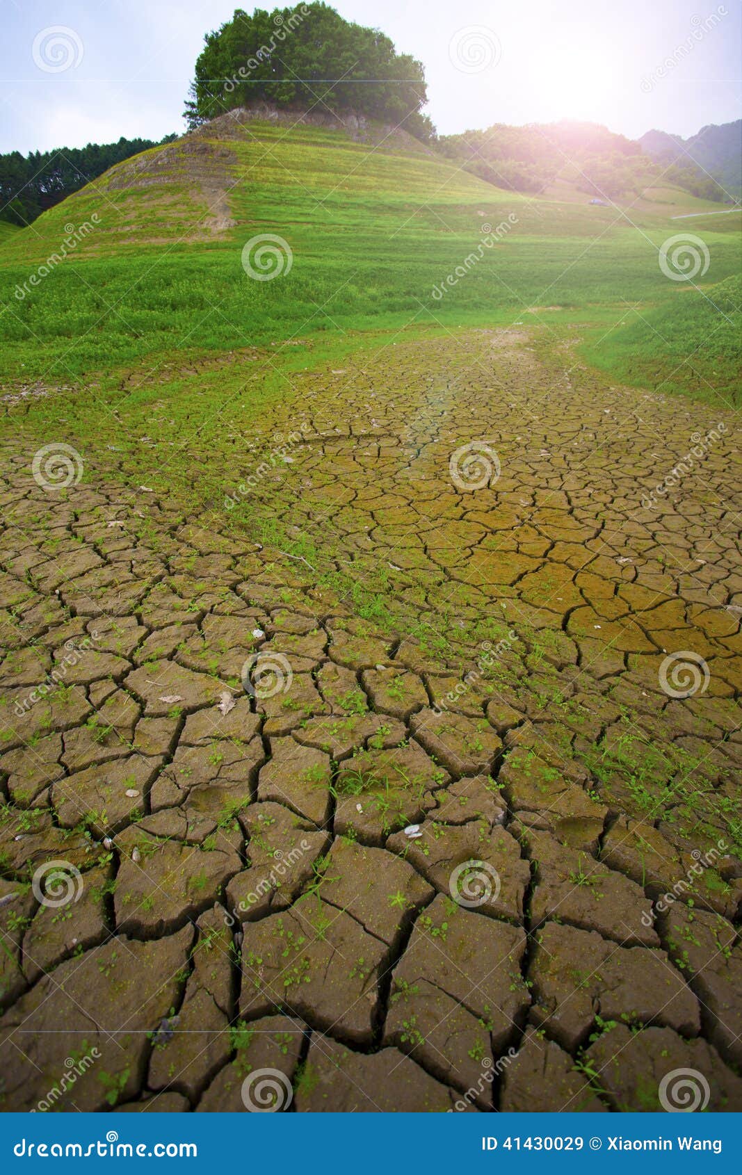 Dry earth stock image. Image of cleft, environment, barren - 41430029