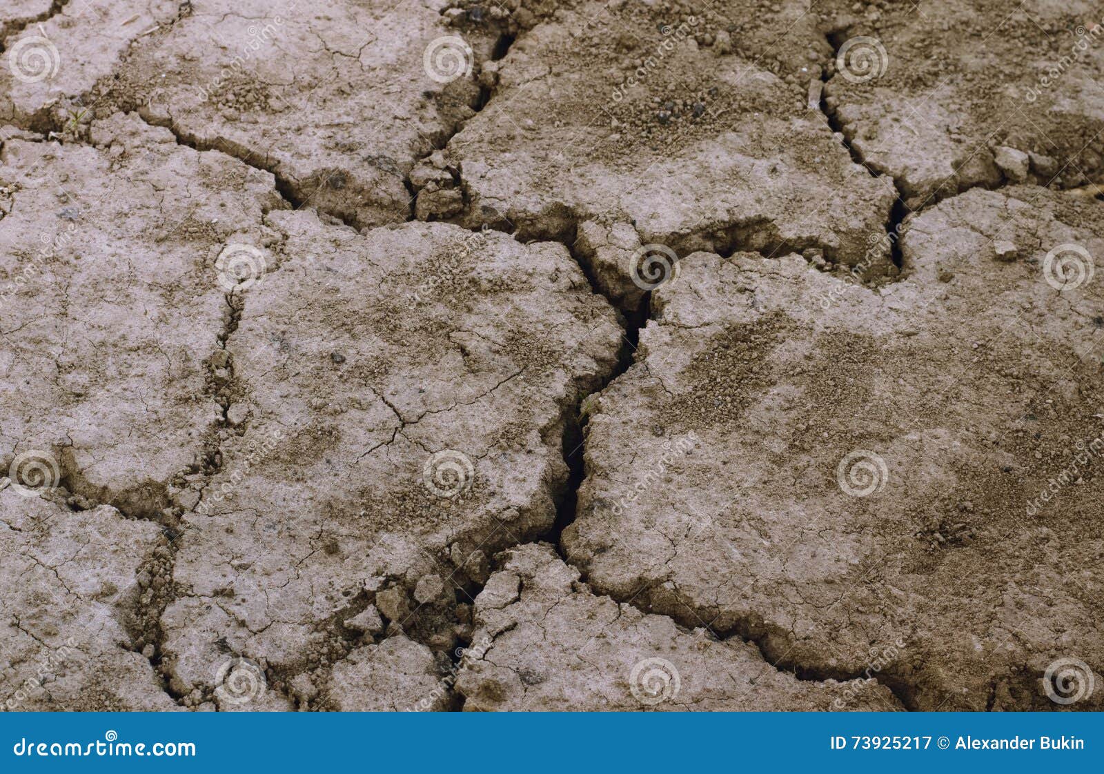 Dry Earth In A Field, Cracks And Fissures Of The Soil Royalty-Free ...