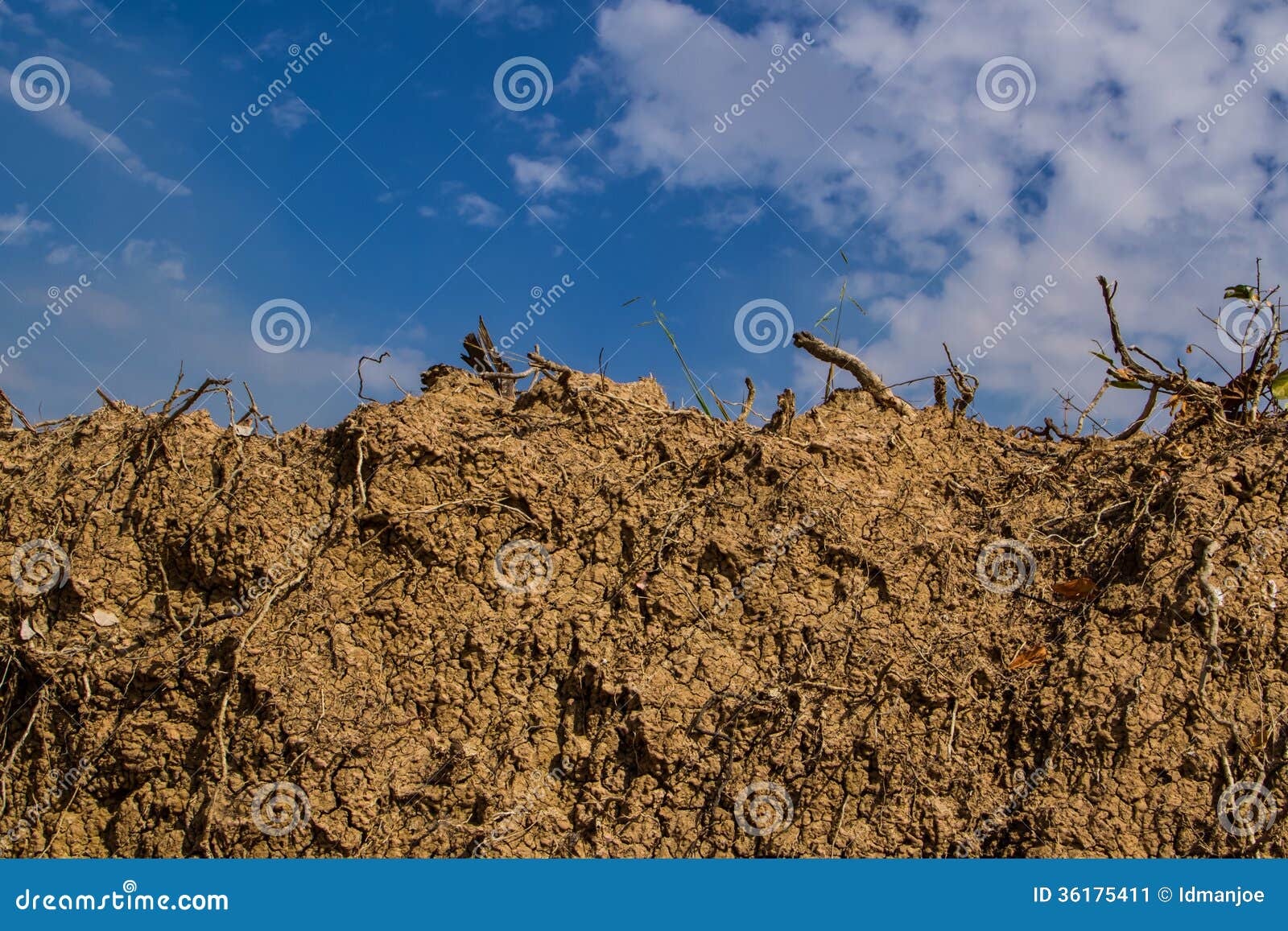 Earth Ground Covered With Compost Mulch Fragment As A Texture Ba Stock ...