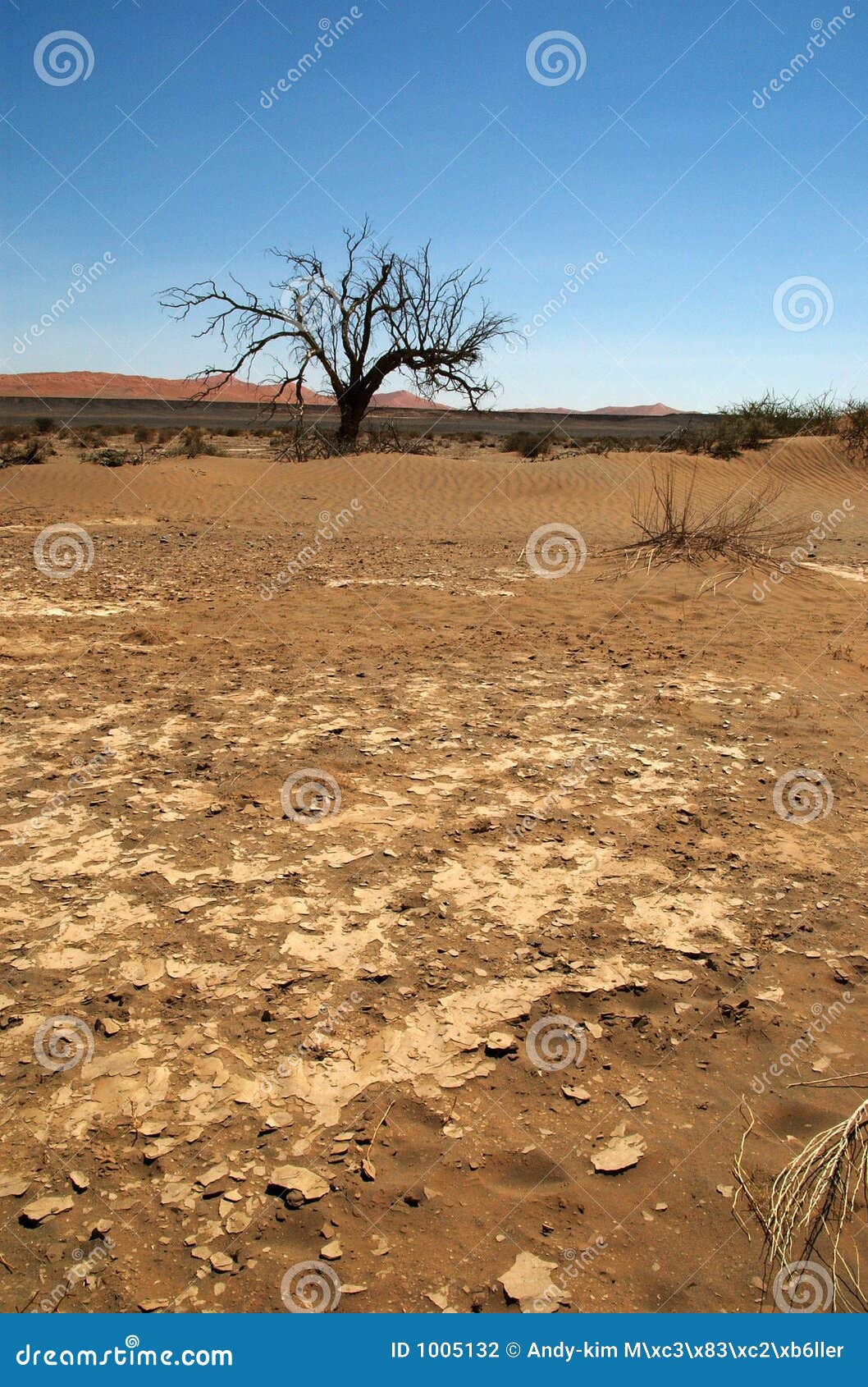 Dry earth in namib desert stock photo. Image of natural - 1005132