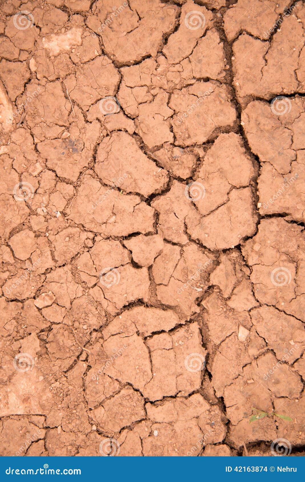 Dry earth stock photo. Image of climate, contrast, agriculture - 42163874