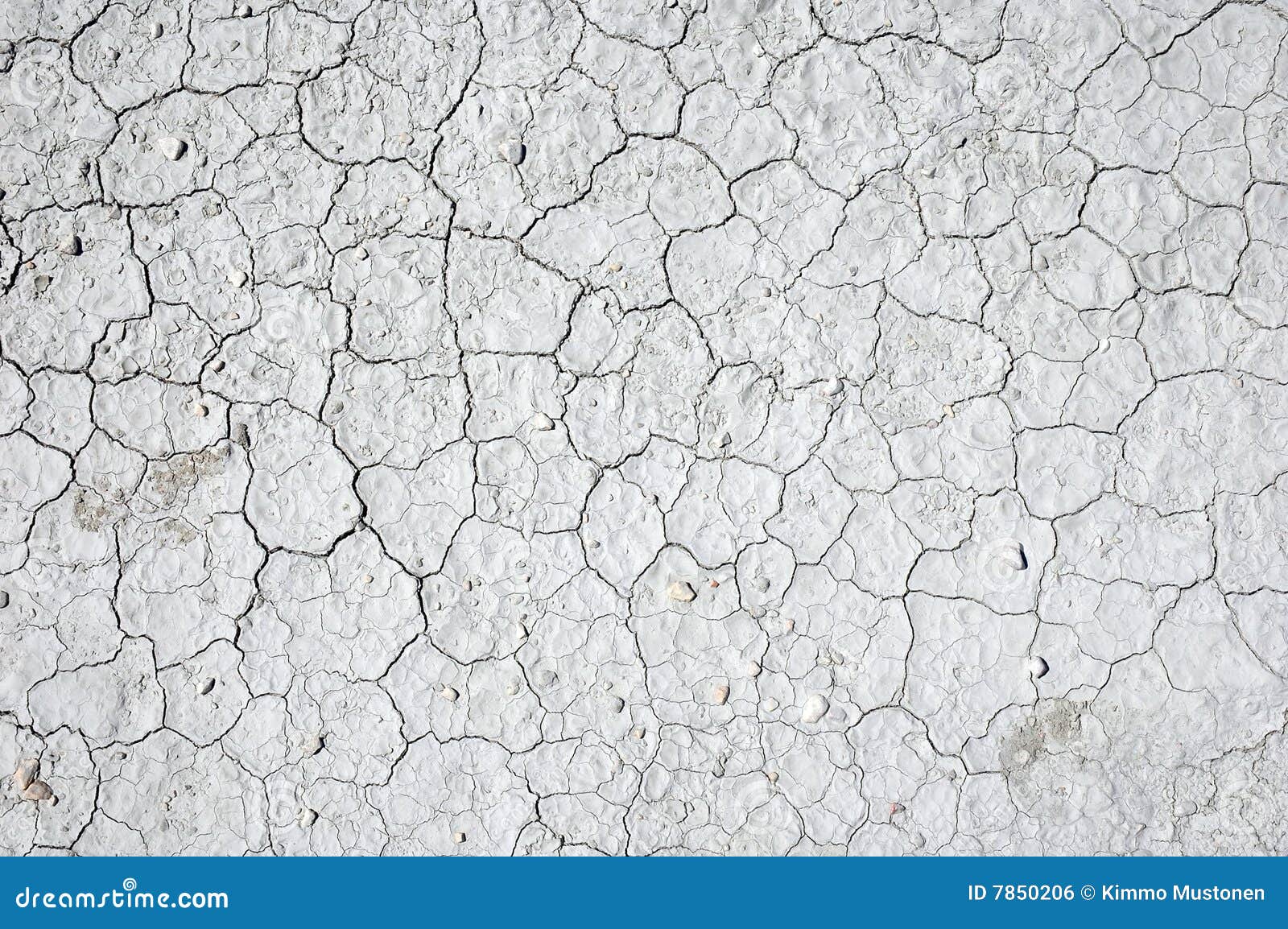 Dry earth surface stock photo. Image of natural, dust - 7850206