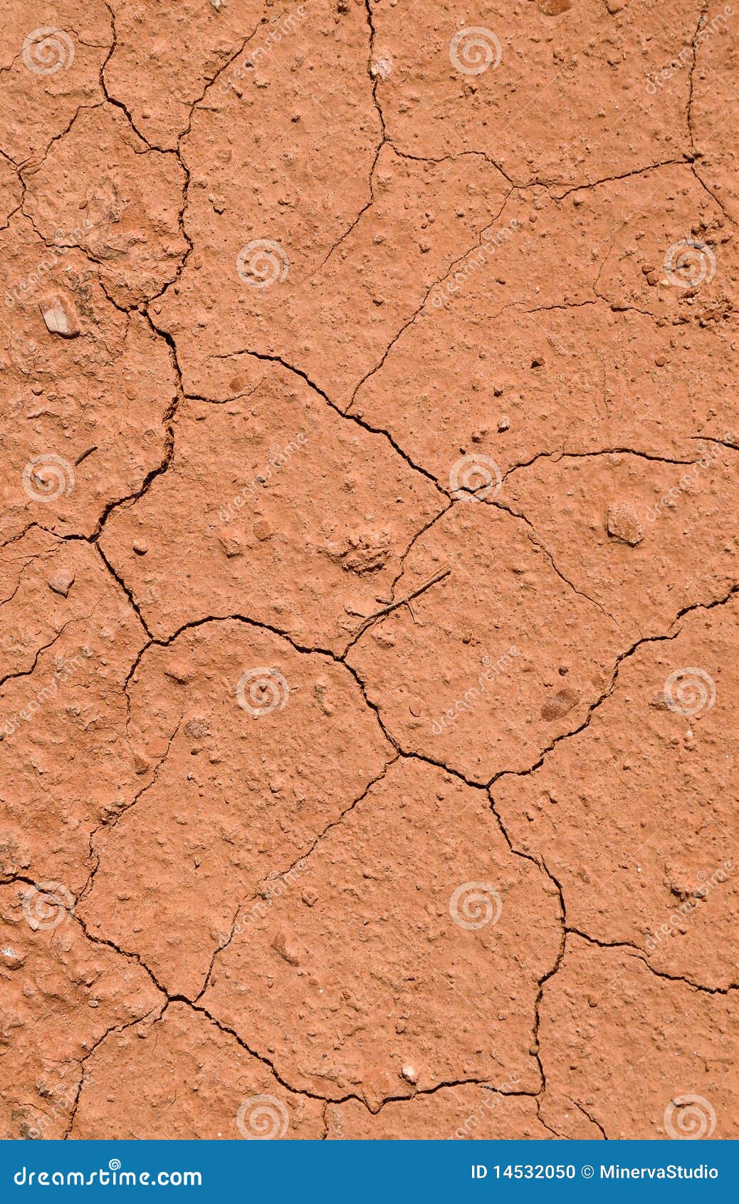 Dry earth texture stock photo. Image of drought, abstract - 14532050