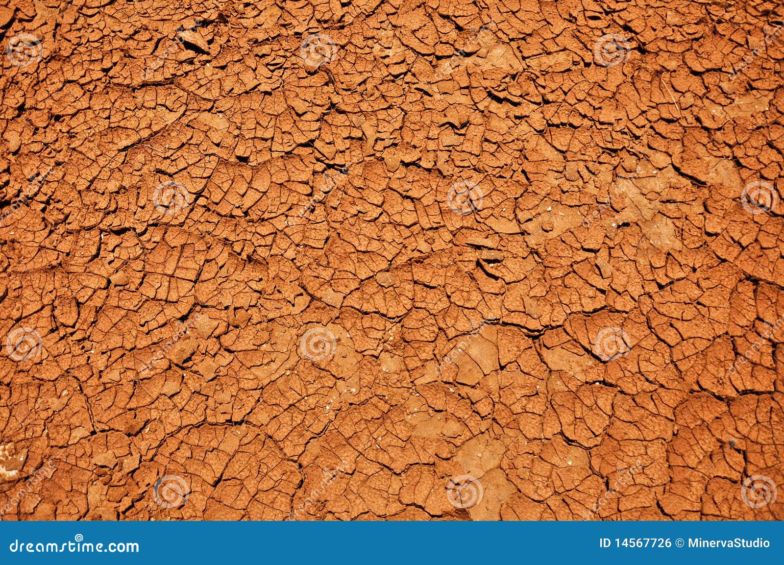Dry earth texture stock photo. Image of drought, earth - 14567726