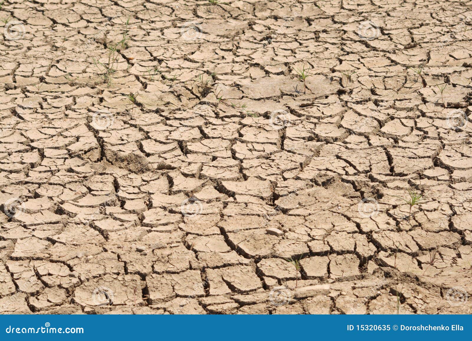 Dry earth texture stock image. Image of nature, surface - 15320635