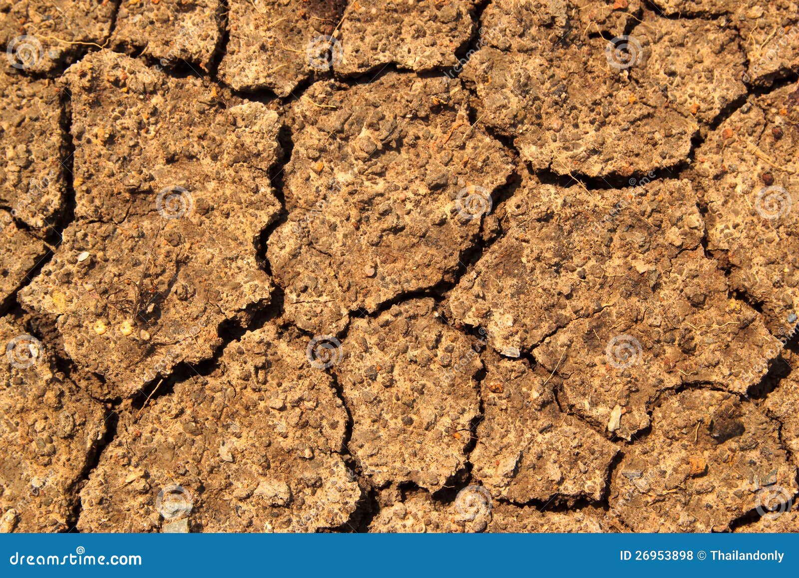 Dry Earth Texture Stock Photography | CartoonDealer.com #26953898