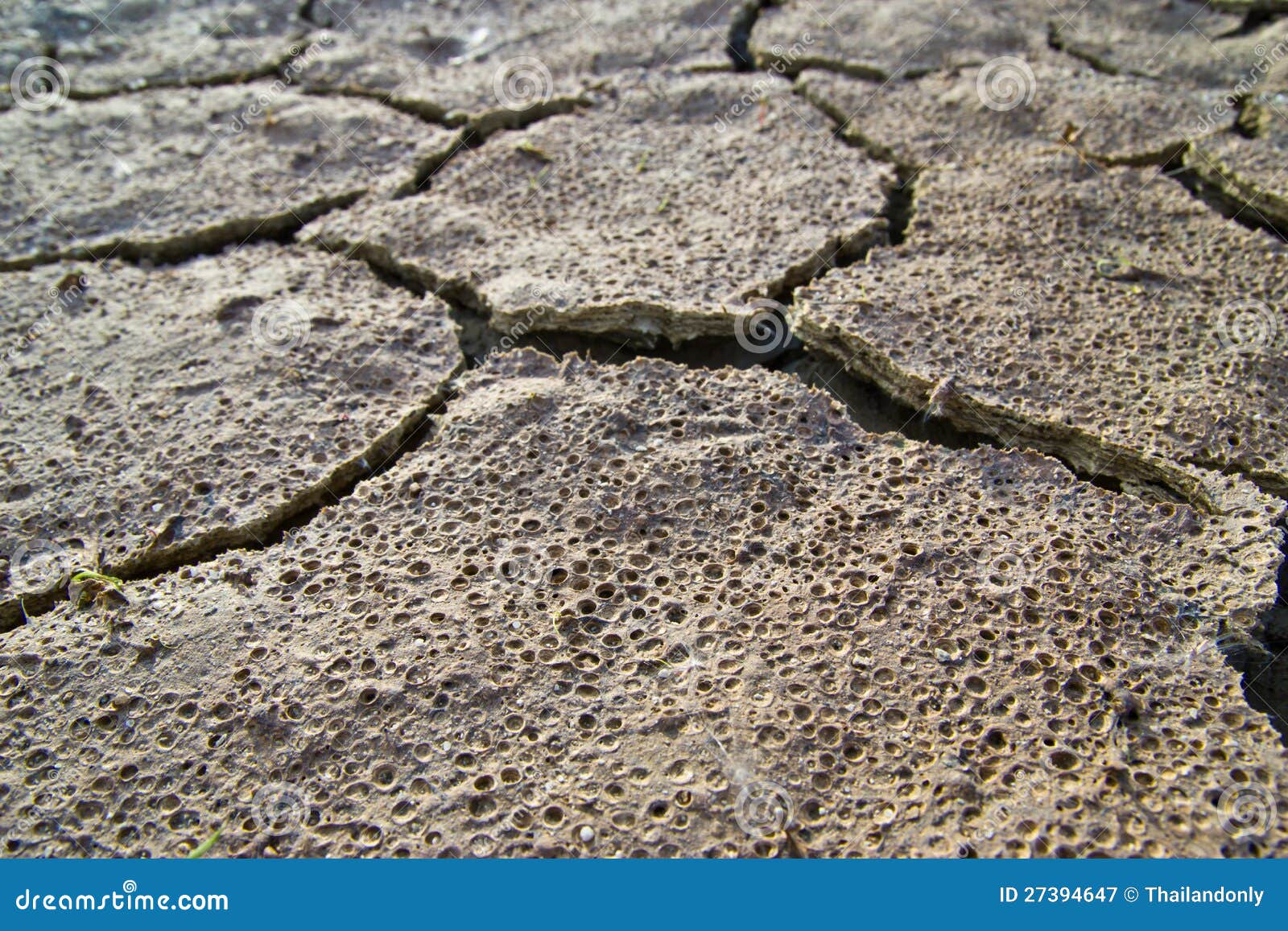 Dry earth texture stock image. Image of clay, dead, closeup - 27394647