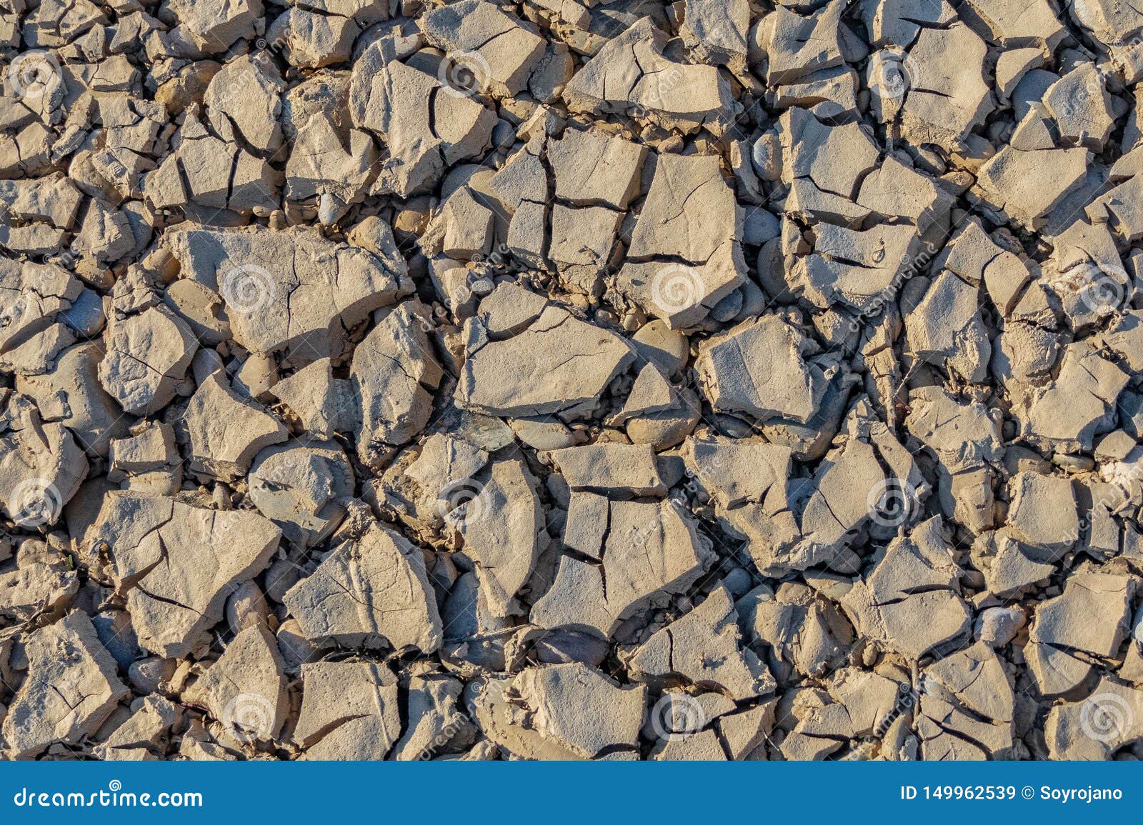 Dry Earth Texture Light Grey Stock Image - Image of drought, grey ...