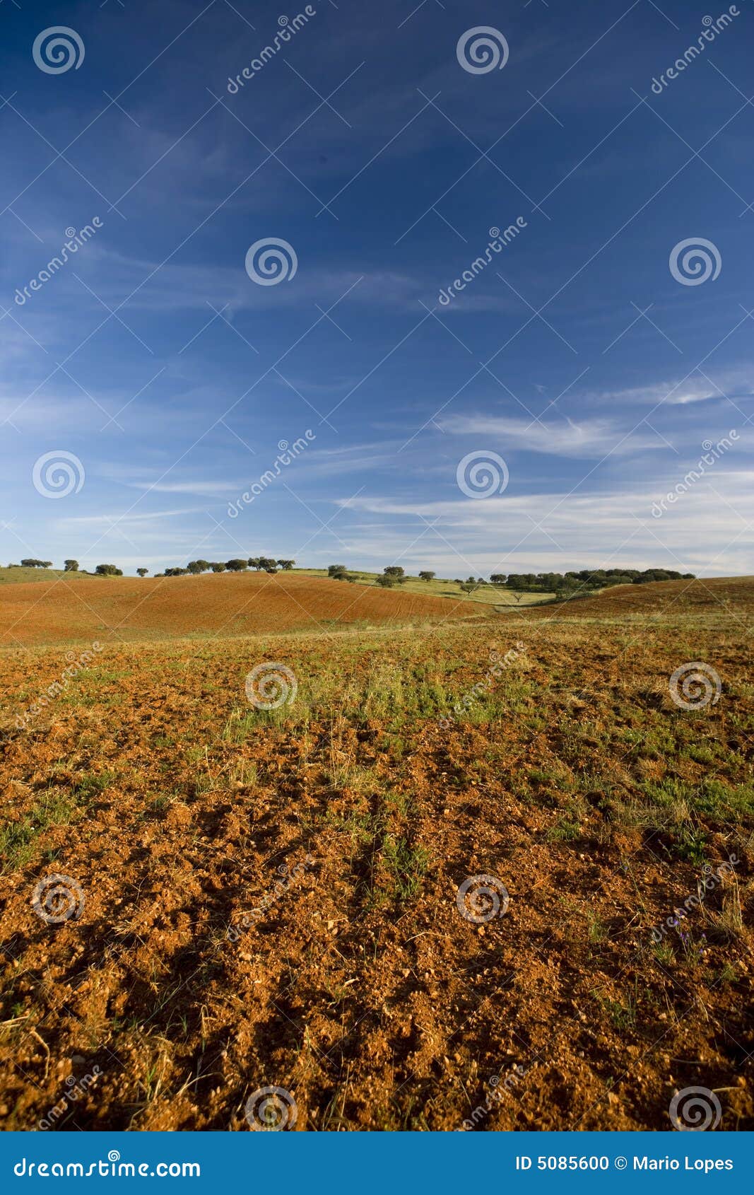 Dry and Empty Rural Field in a Hot Summer Day Stock Photo - Image of ...