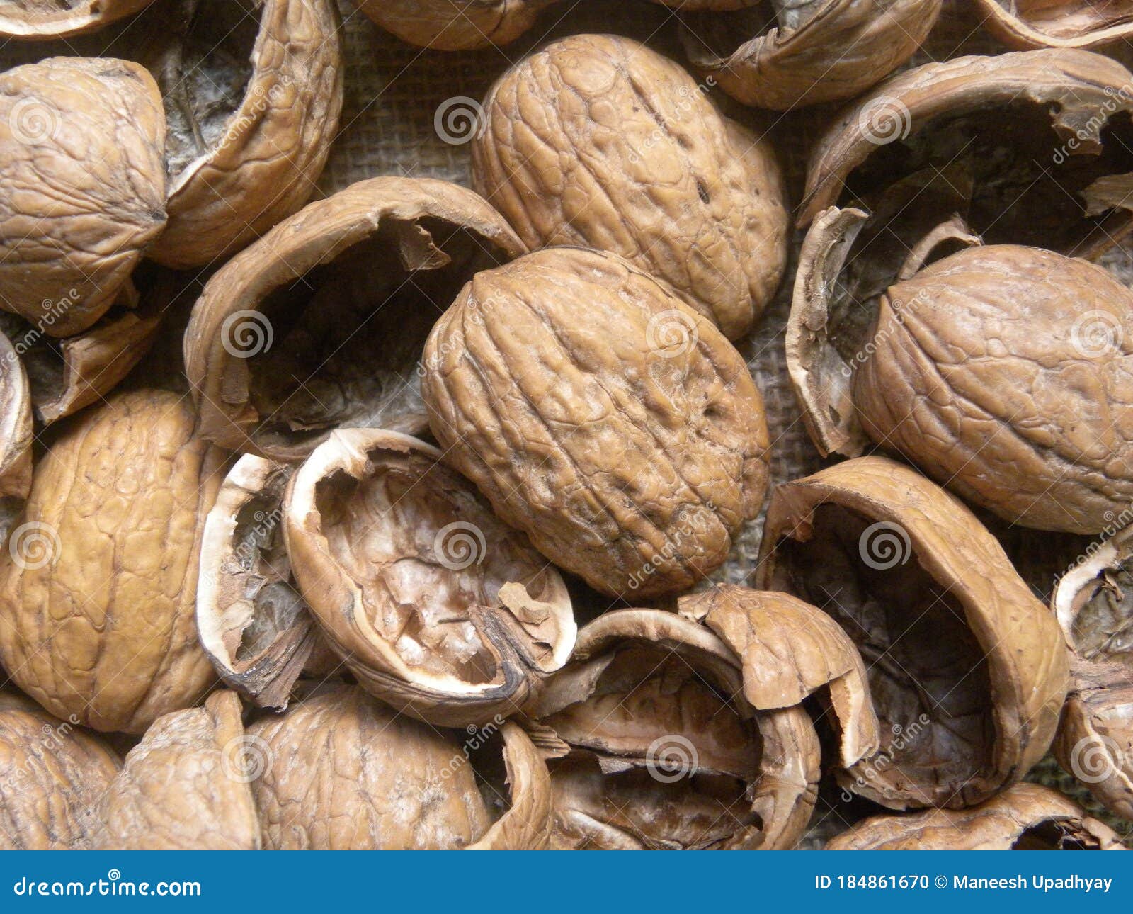 Dry empty Walnut shell stock photo. Image of coat, juglans - 184861670