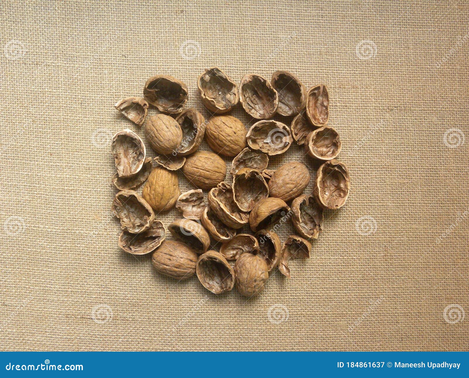 Dry Empty Walnut shells stock image. Image of peel, antioxidants ...