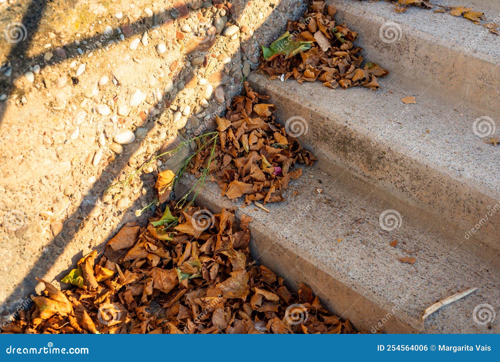 Dry Fallen Autumn Leaves Lying on a Stairway Stock Photo - Image of ...