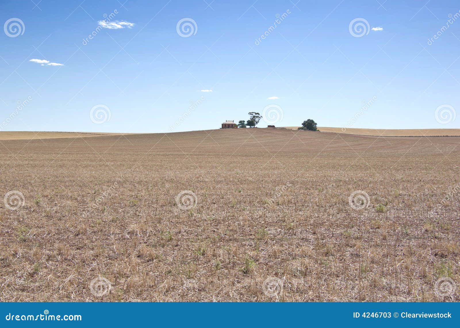 Dry Farm during the Drought Stock Image - Image of rural, country: 4246703