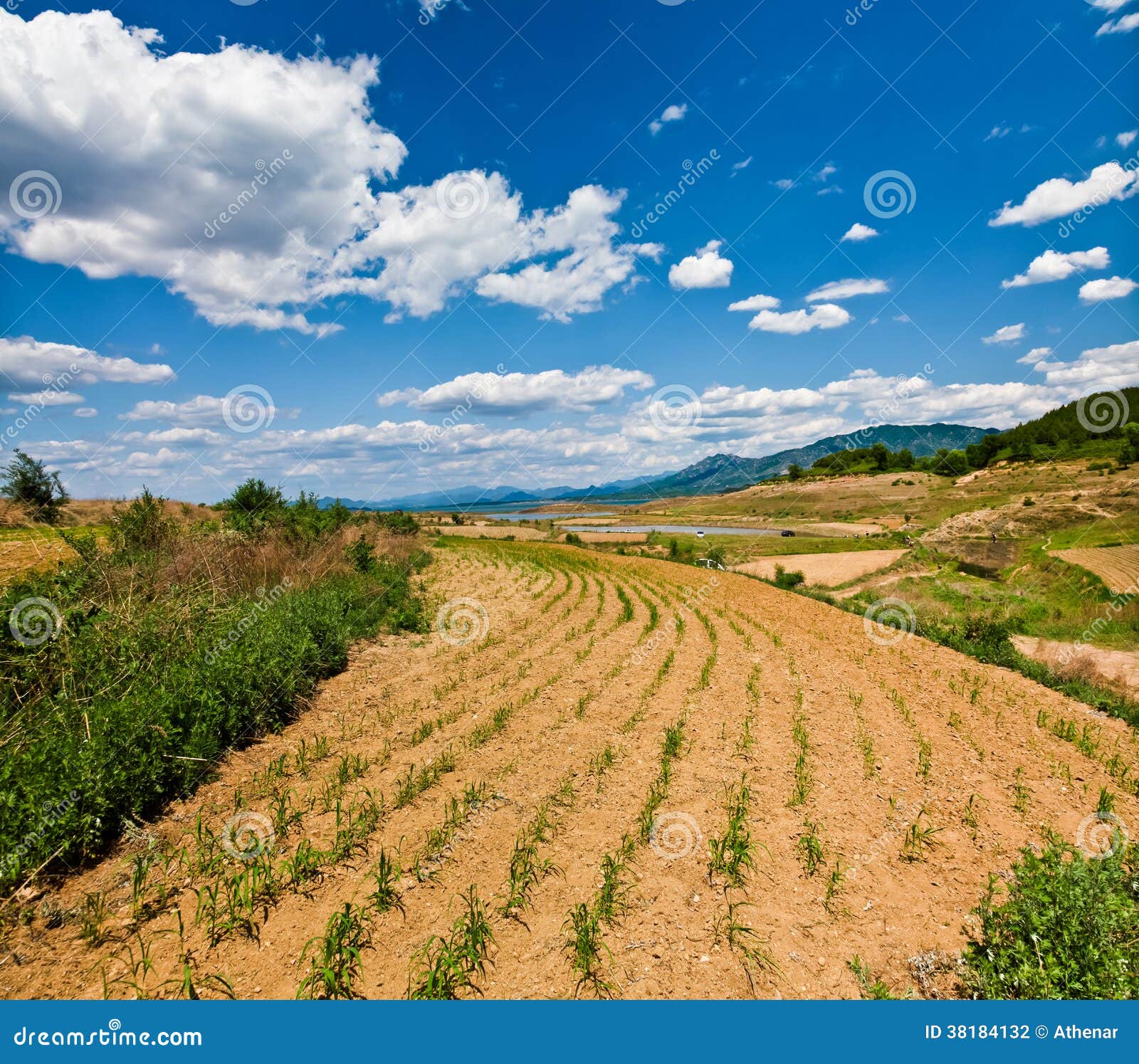 Dry farm field stock photo. Image of fresh, country, meadow - 38184132