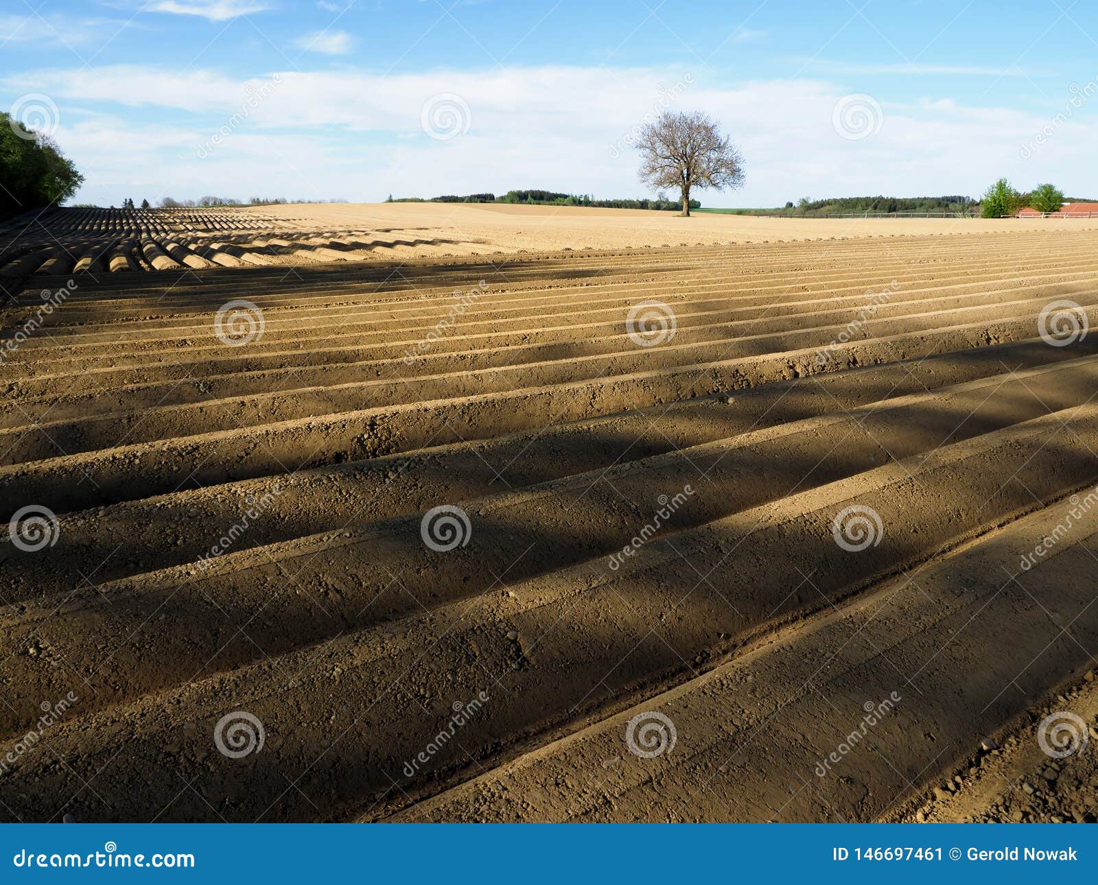 Dry Field on a Bavarian Farm Stock Image - Image of agriculture ...