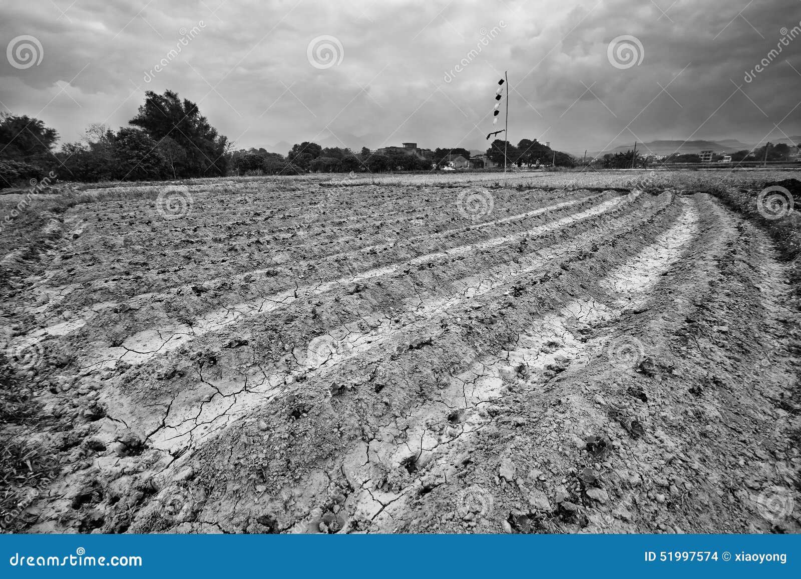 Dry field land stock photo. Image of dried, dark, farm - 51997574