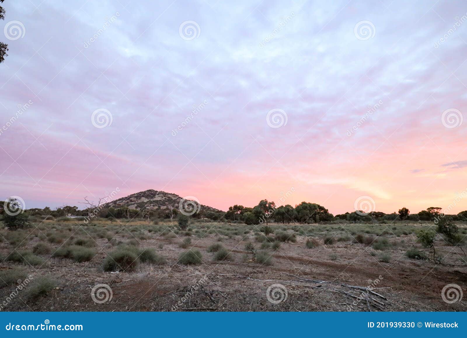 Dry field under sunset sky stock photo. Image of grass - 201939330