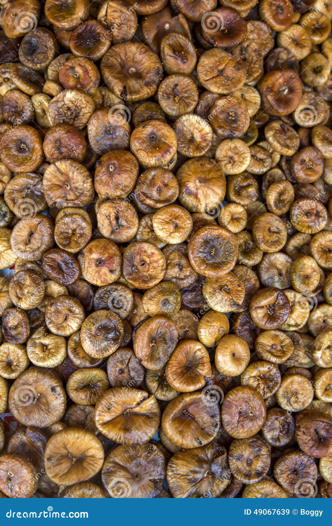Dry figs stock image. Image of seeds, dessert, group - 49067639