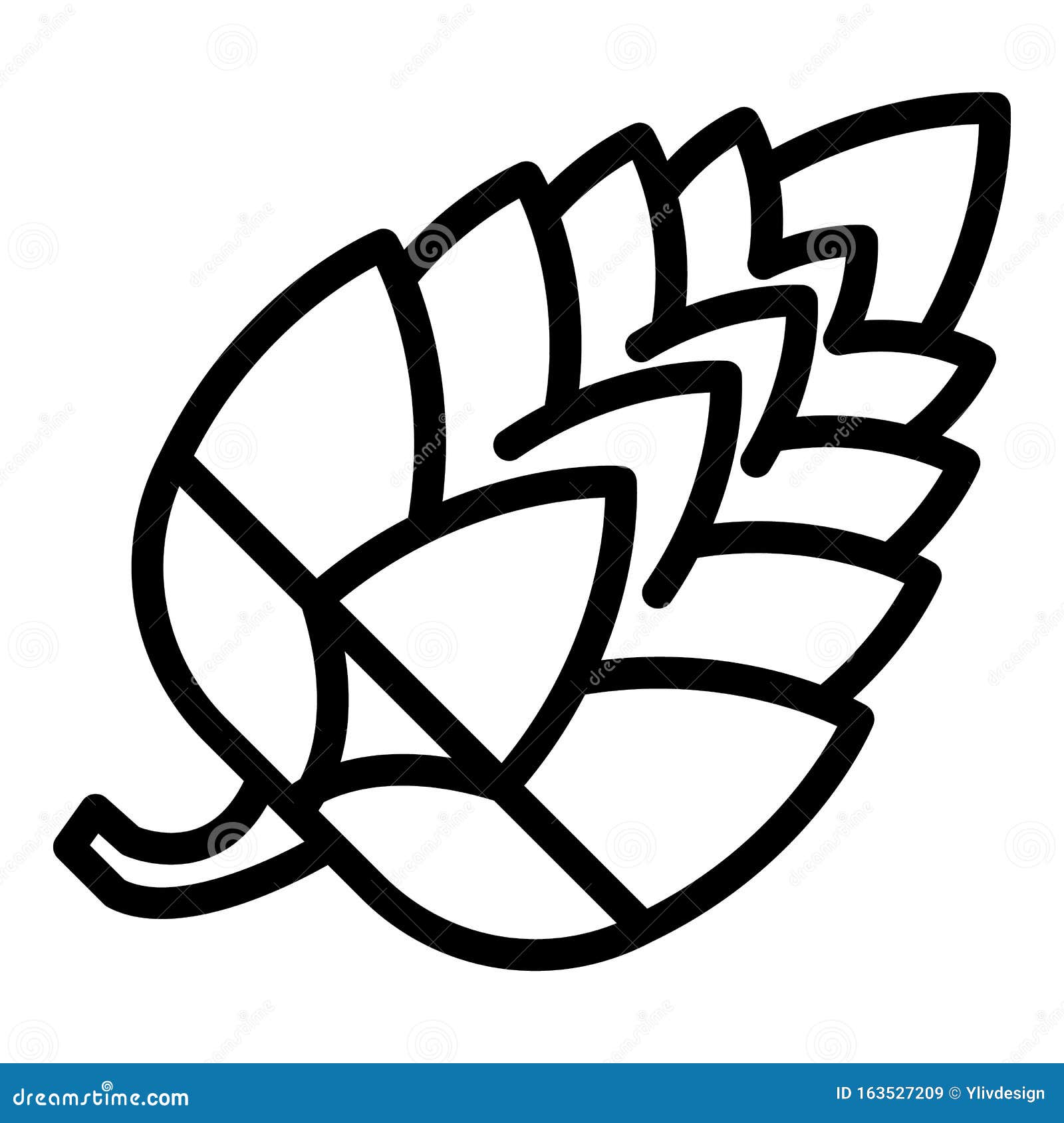 Douglas-fir Pseudotsuga Menziesii , State Tree Of Oregon Royalty-Free ...