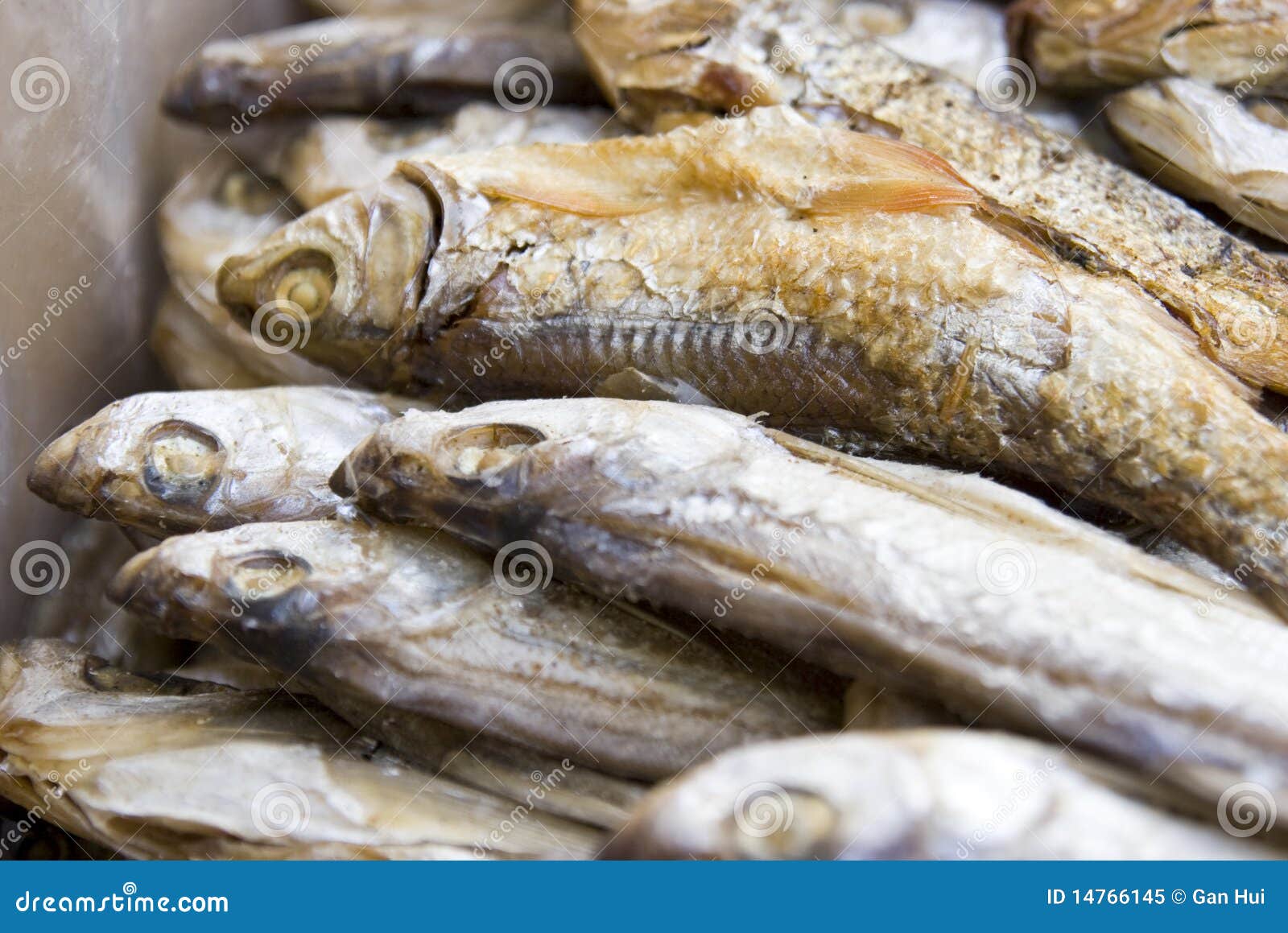Dry fish stock image. Image of freshness, animal, dead - 14766145