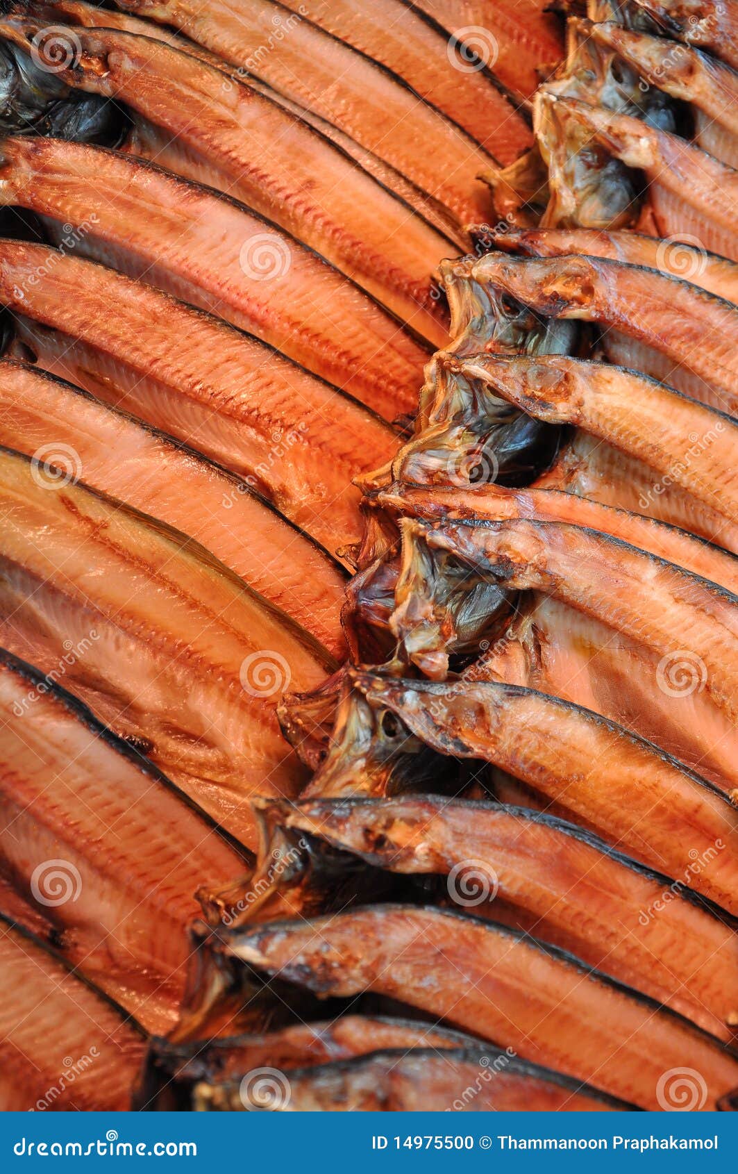Dry Fish stock photo. Image of eating, industry, hanging - 14975500