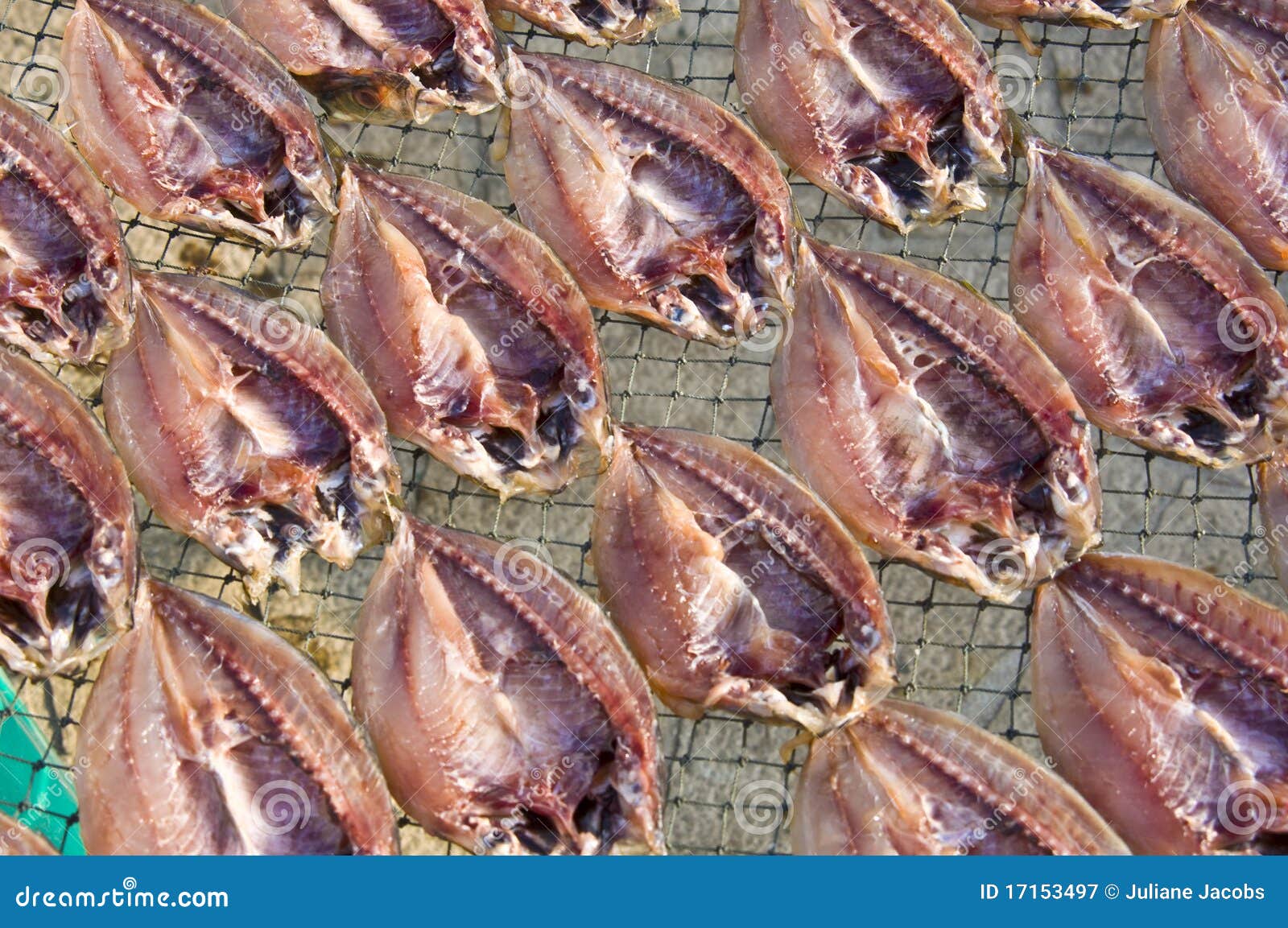 Dry fish stock image. Image of cuttlefish, organic, heat - 17153497