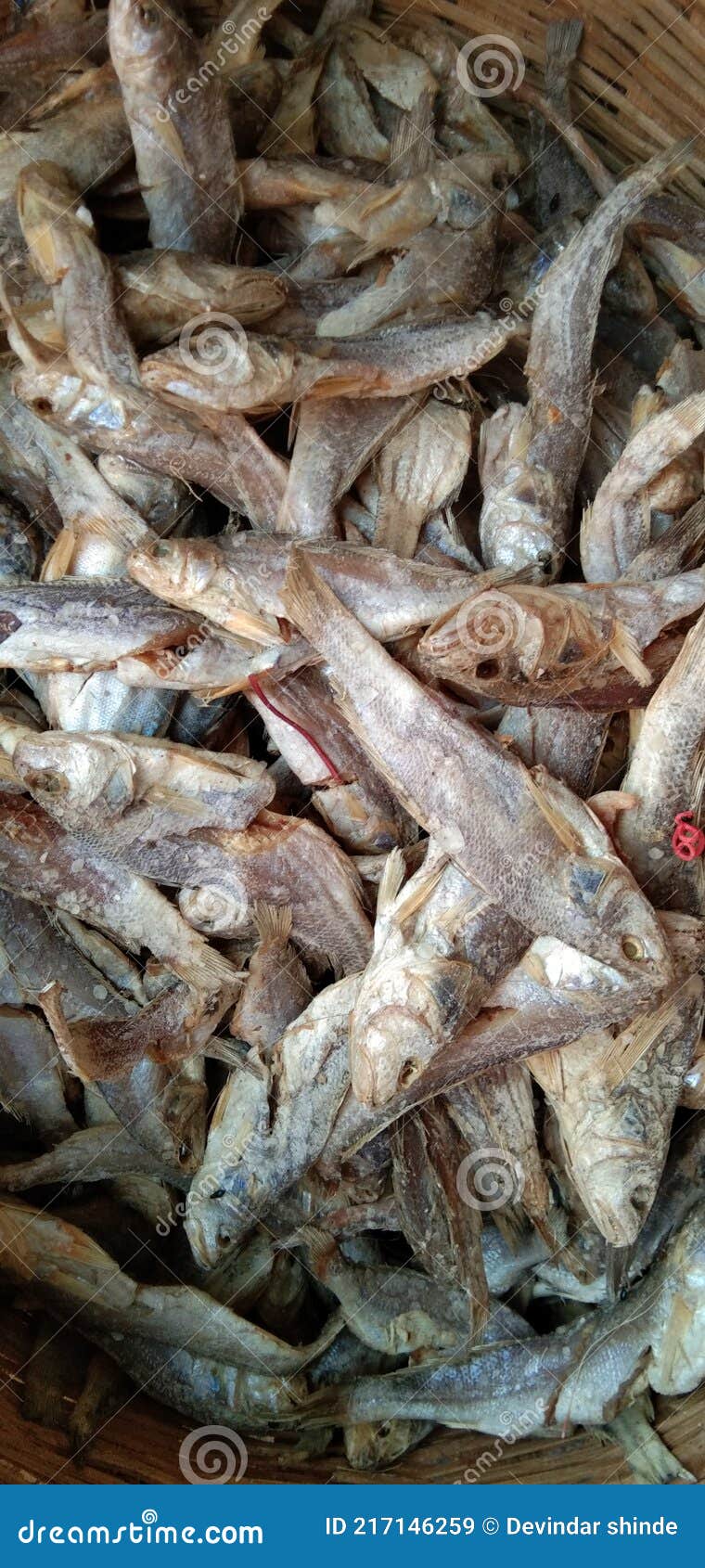 Dry Fish ðŸ Ÿ Snack and Testi Stock Image - Image of organism ...
