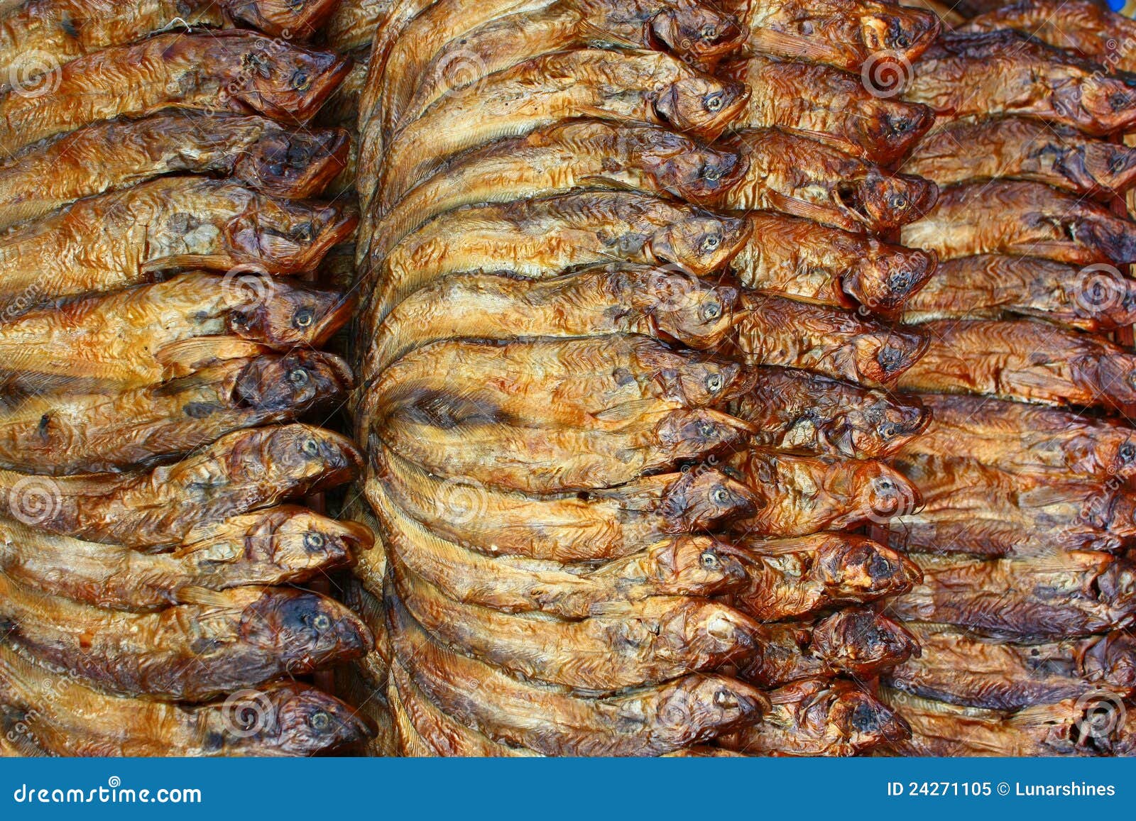 Dry Fish stock image. Image of small, fauna, creature - 24271105