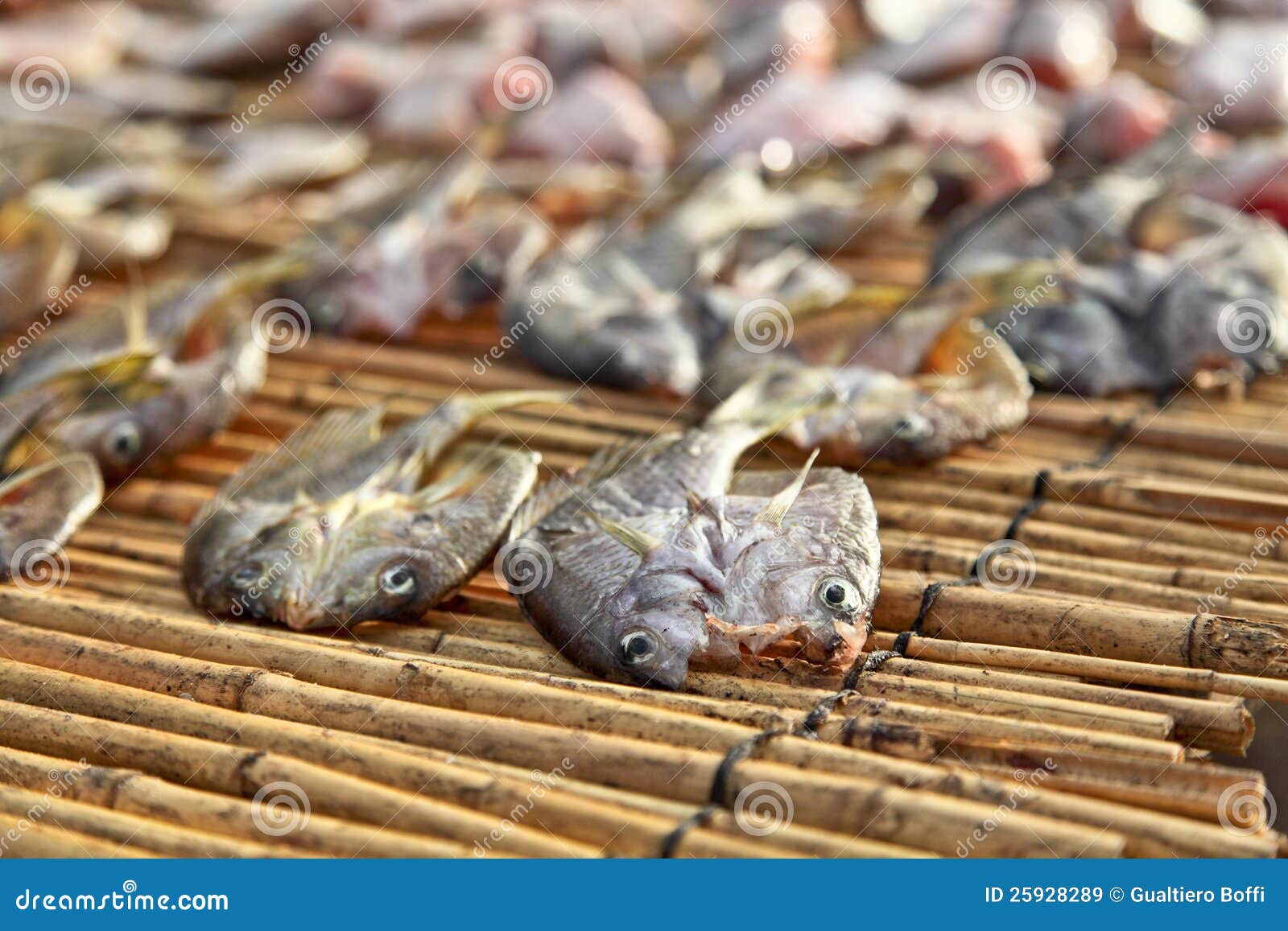Dry fish stock image. Image of bamboo, nature, food, dead - 25928289